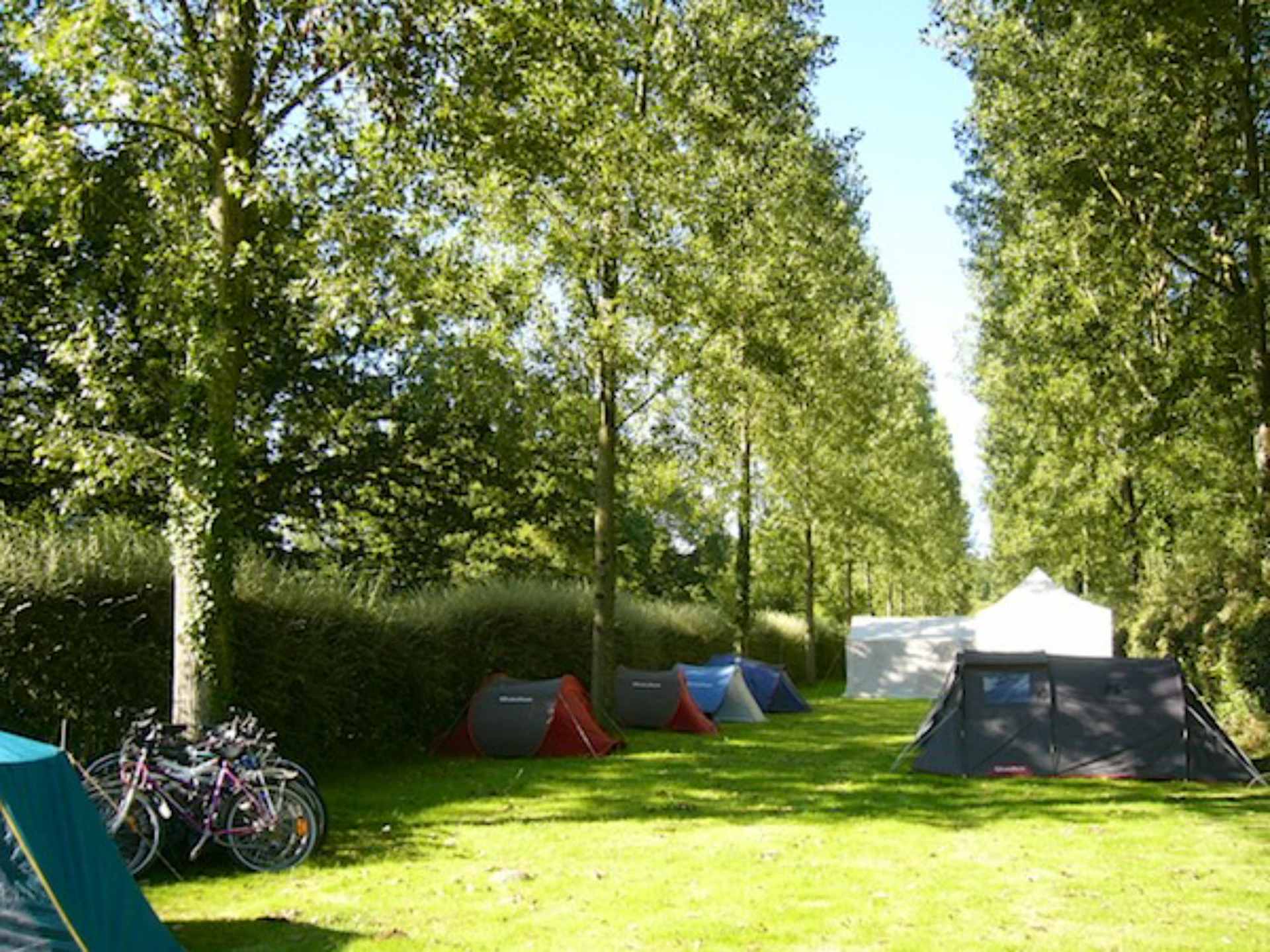Camping in Brittany: 12 best campsites 2023 | Hipcamp