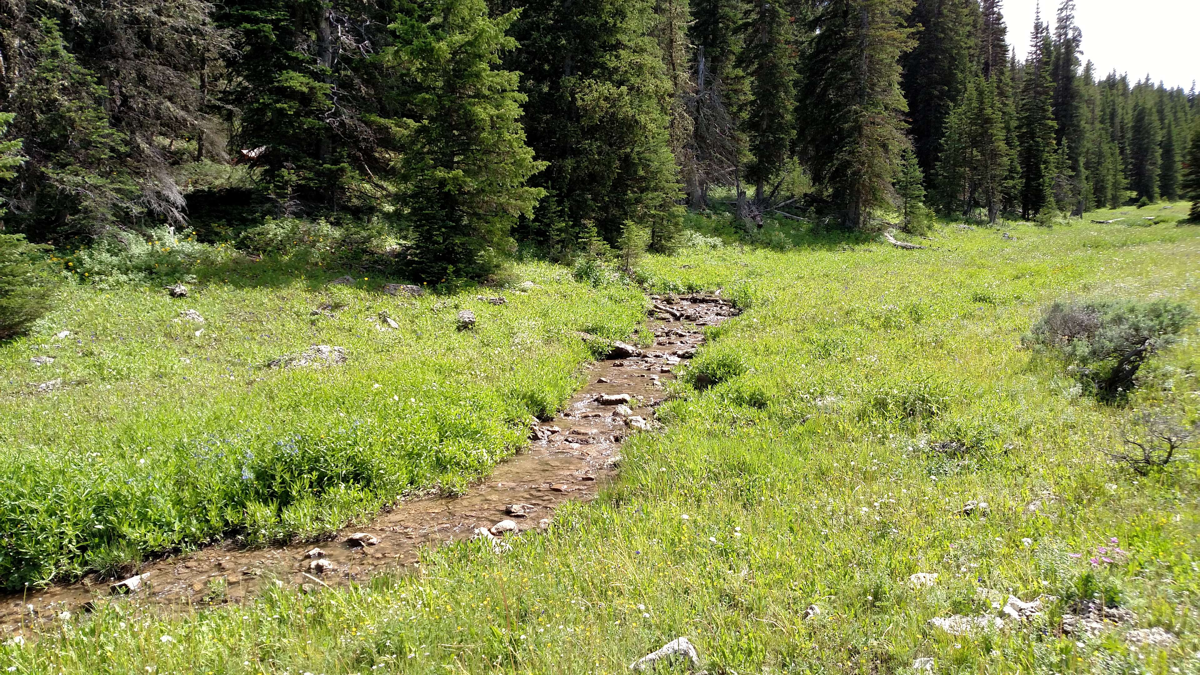 Camp At Rangeland - Hipcamp in Sheridan , Wyoming