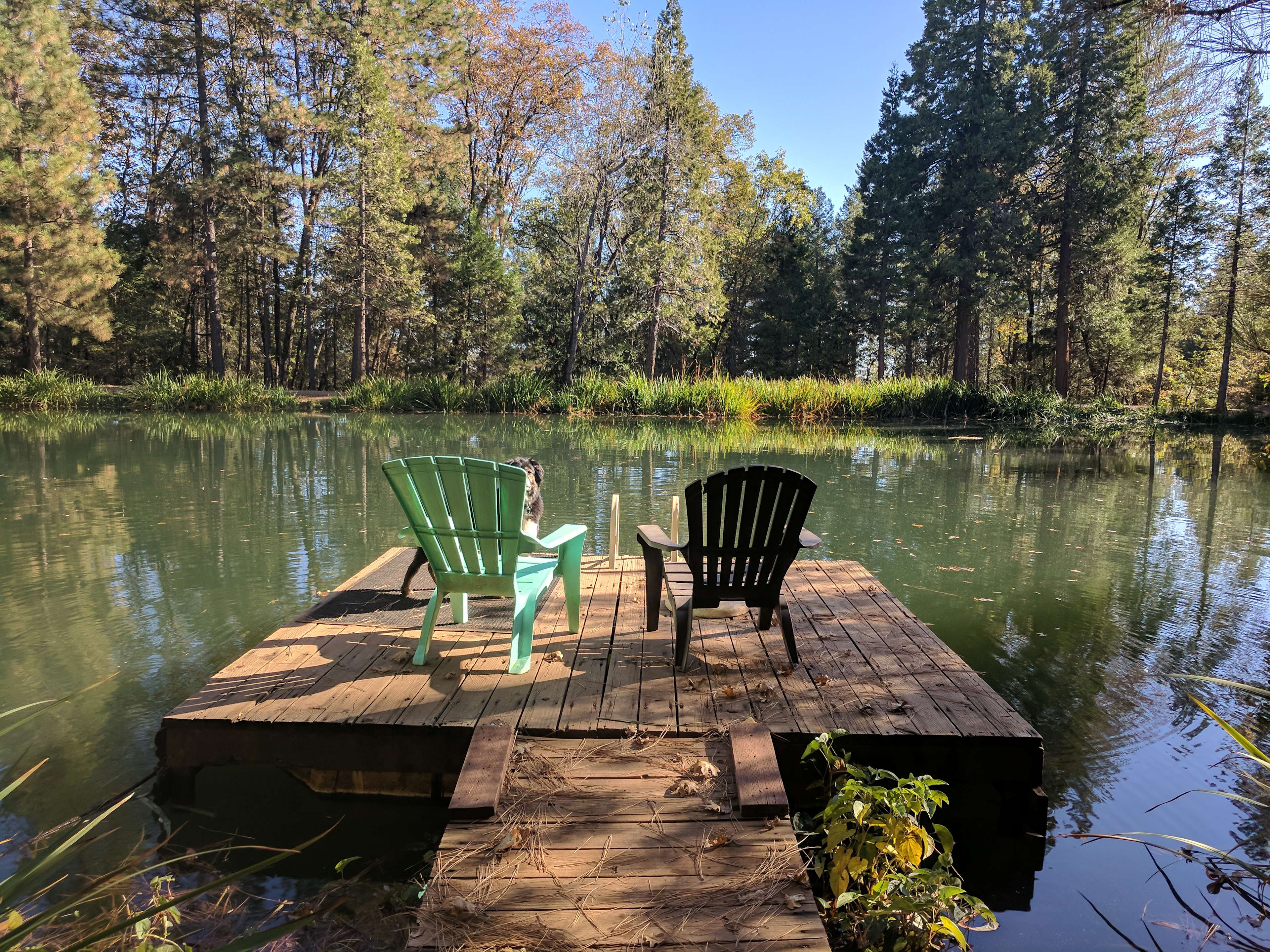 Maple Creek Ranch - Hipcamp in Cohasset, California