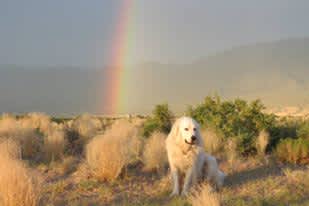 Rabbit Hole Ranch - Hipcamp in , Colorado