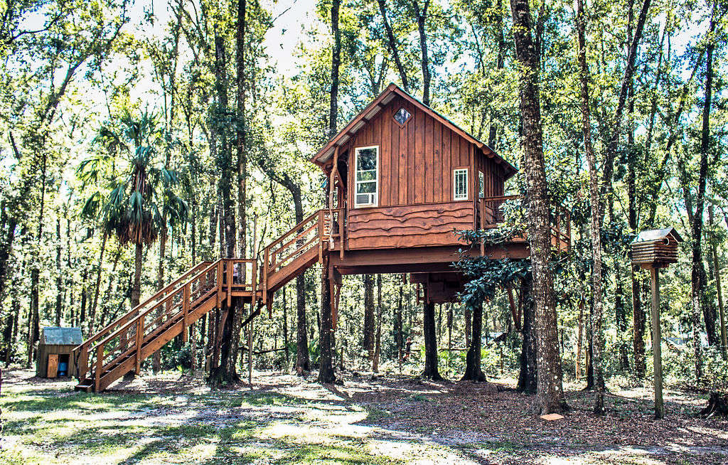 Treehouse Cabin Retreat - Florida - Hipcamp in Old Town, Florida