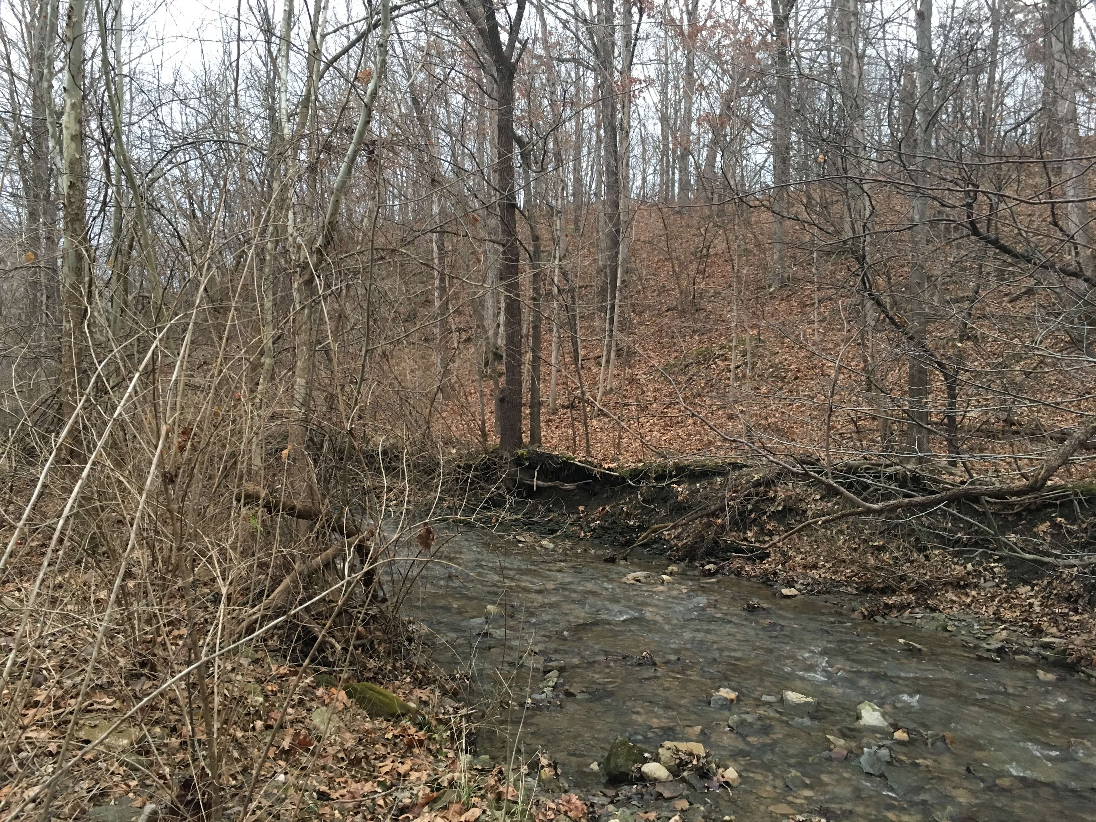 Flint Farm: Attica,IN - Hipcamp in Pine Village, Indiana