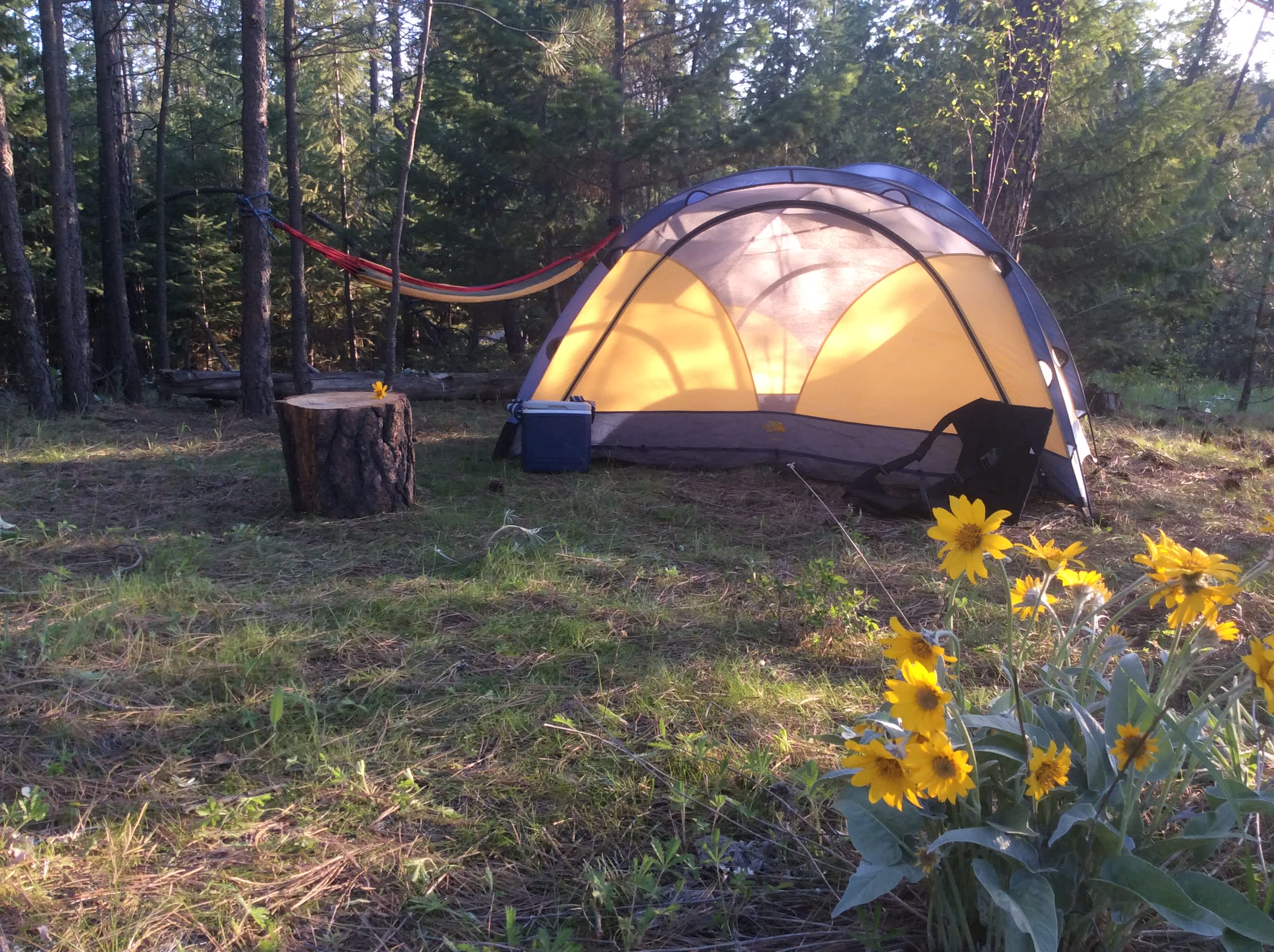 SPOKANE CAMPING In The Forest - Hipcamp in Spokane, Washington