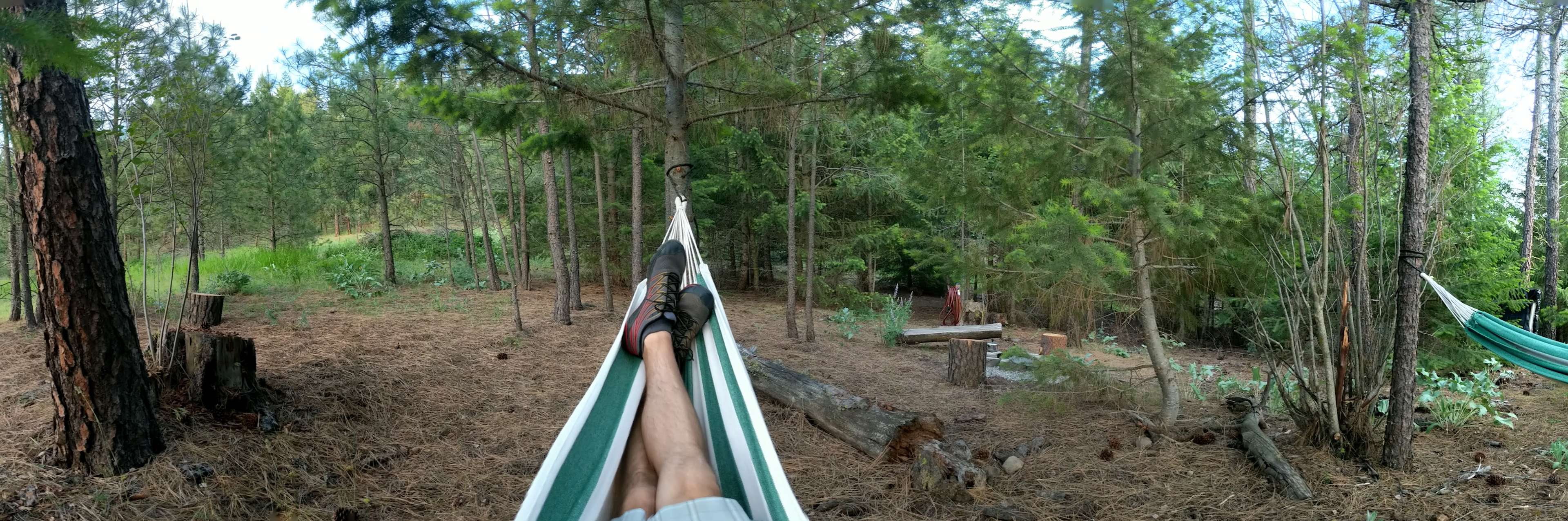 SPOKANE CAMPING In The Forest - Hipcamp in Spokane, Washington