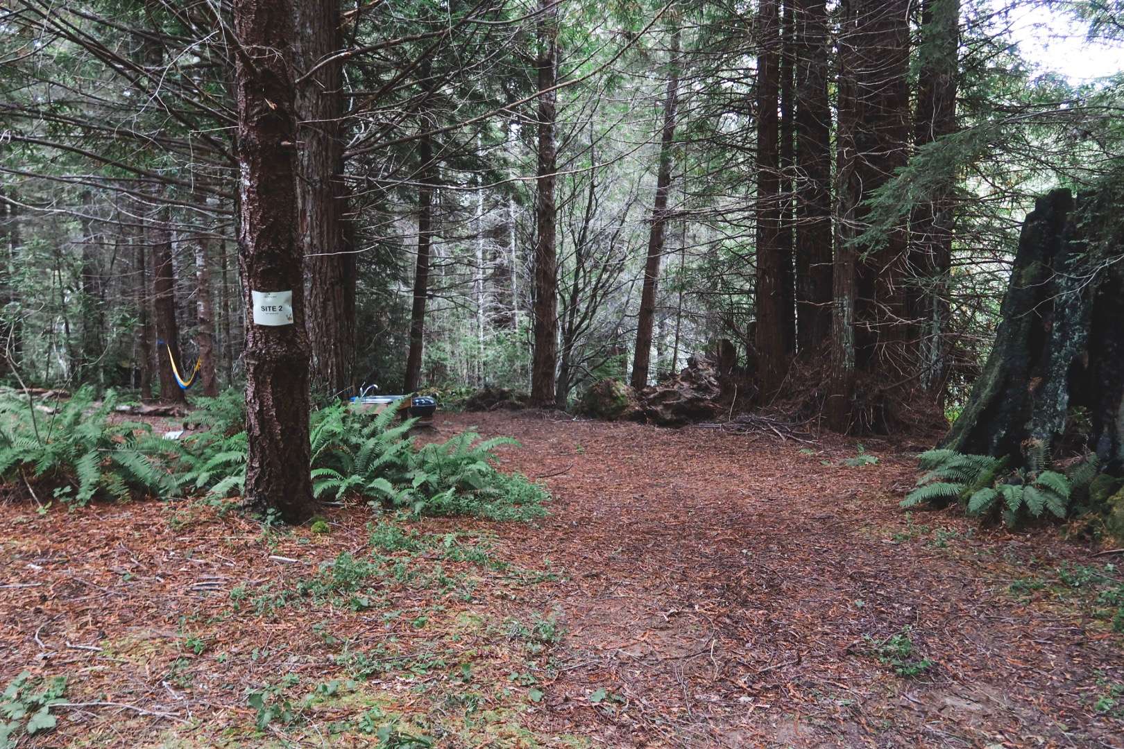 Baby Banana Slug Farm - Hipcamp in Albion, California