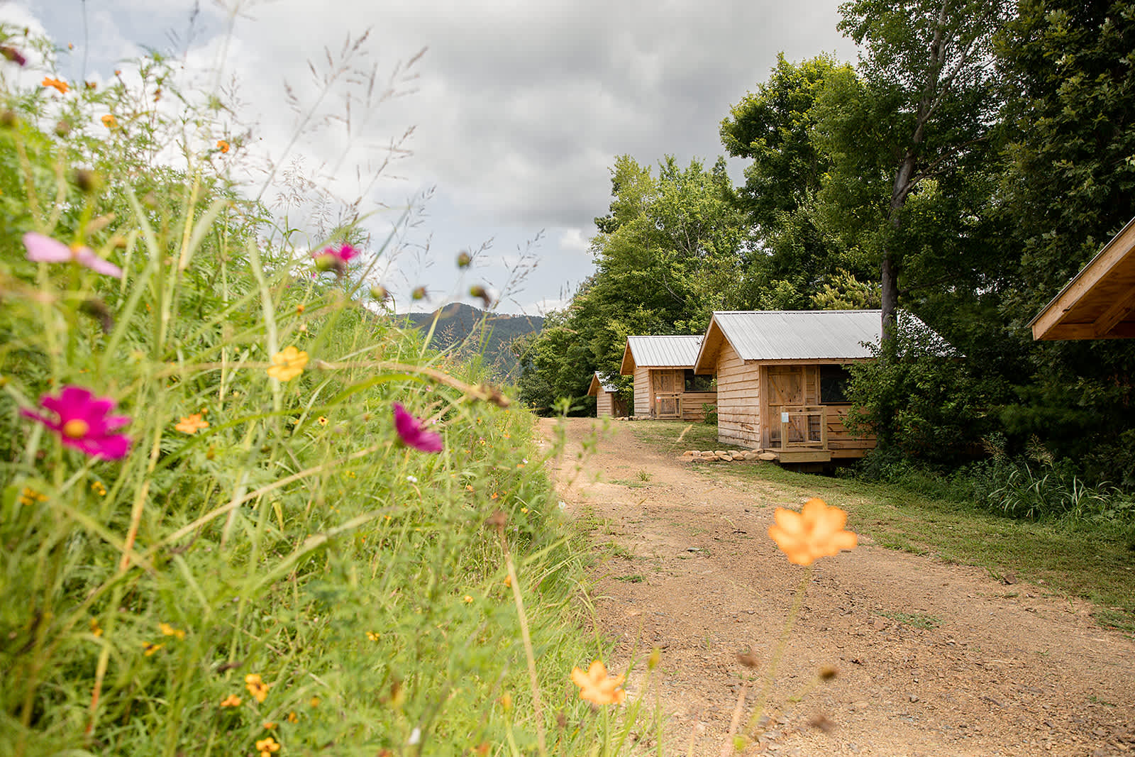 Paint Rock Farm Glamping - Hipcamp in Hot Springs, North Carolina