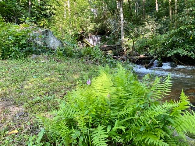 Cherokee Waterfall Campground - Hipcamp in , North Carolina