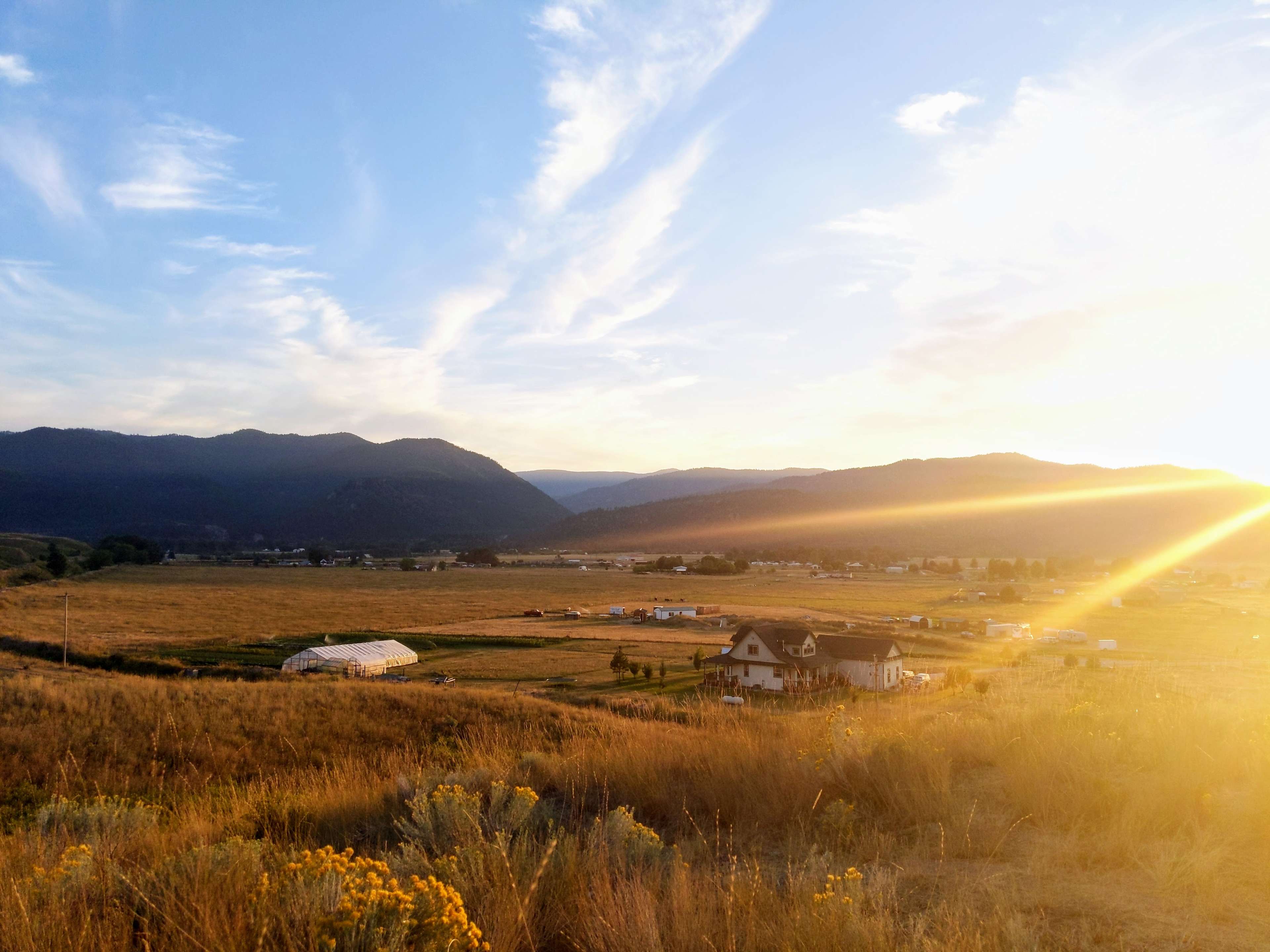 Primrose Meadows - Hipcamp in , Montana