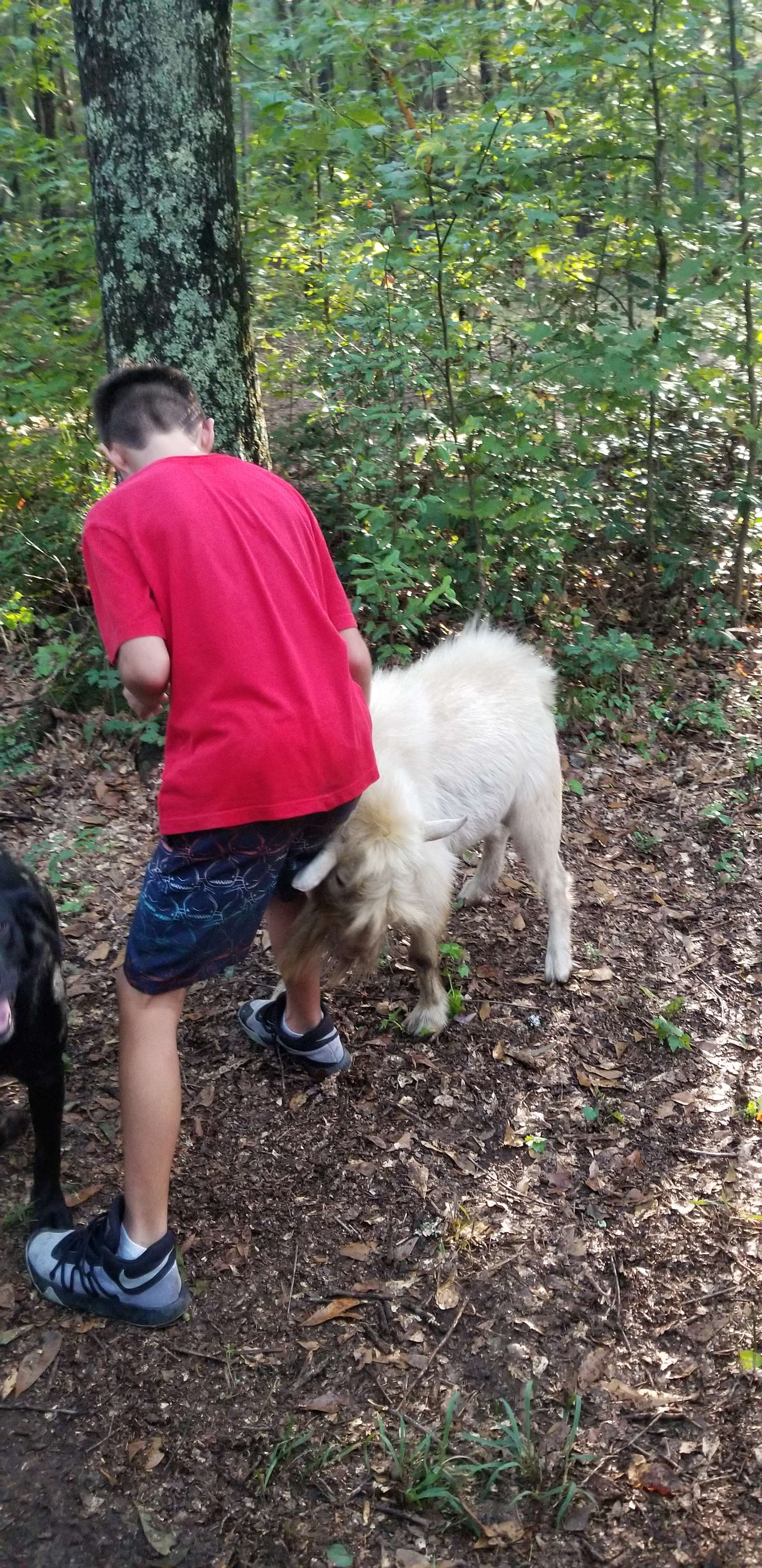 Goat Camp - Hipcamp in Jackson, Georgia