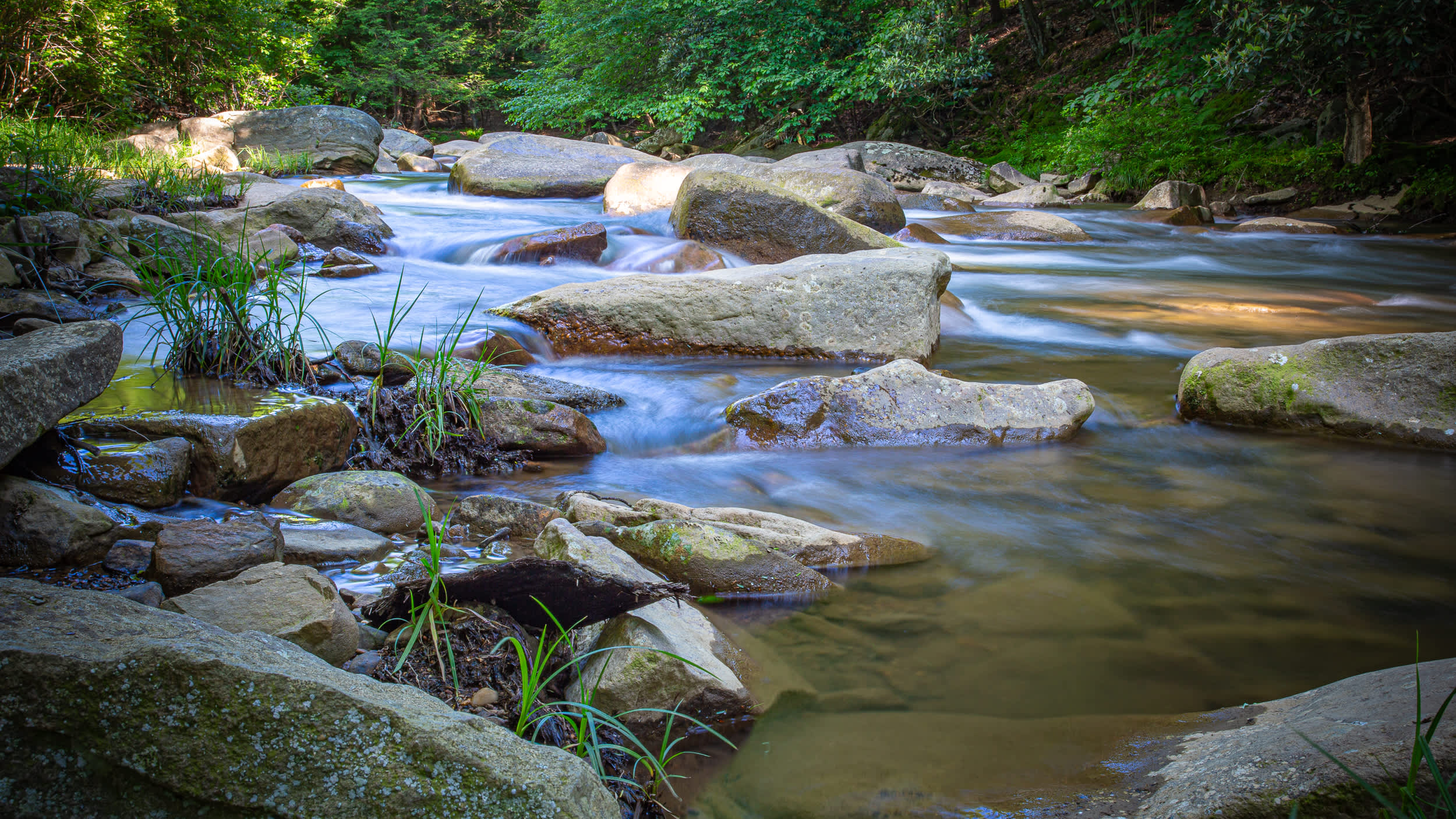 Abrams Creek Campground/Retreat - Hipcamp in Mt. Storm, West Virginia