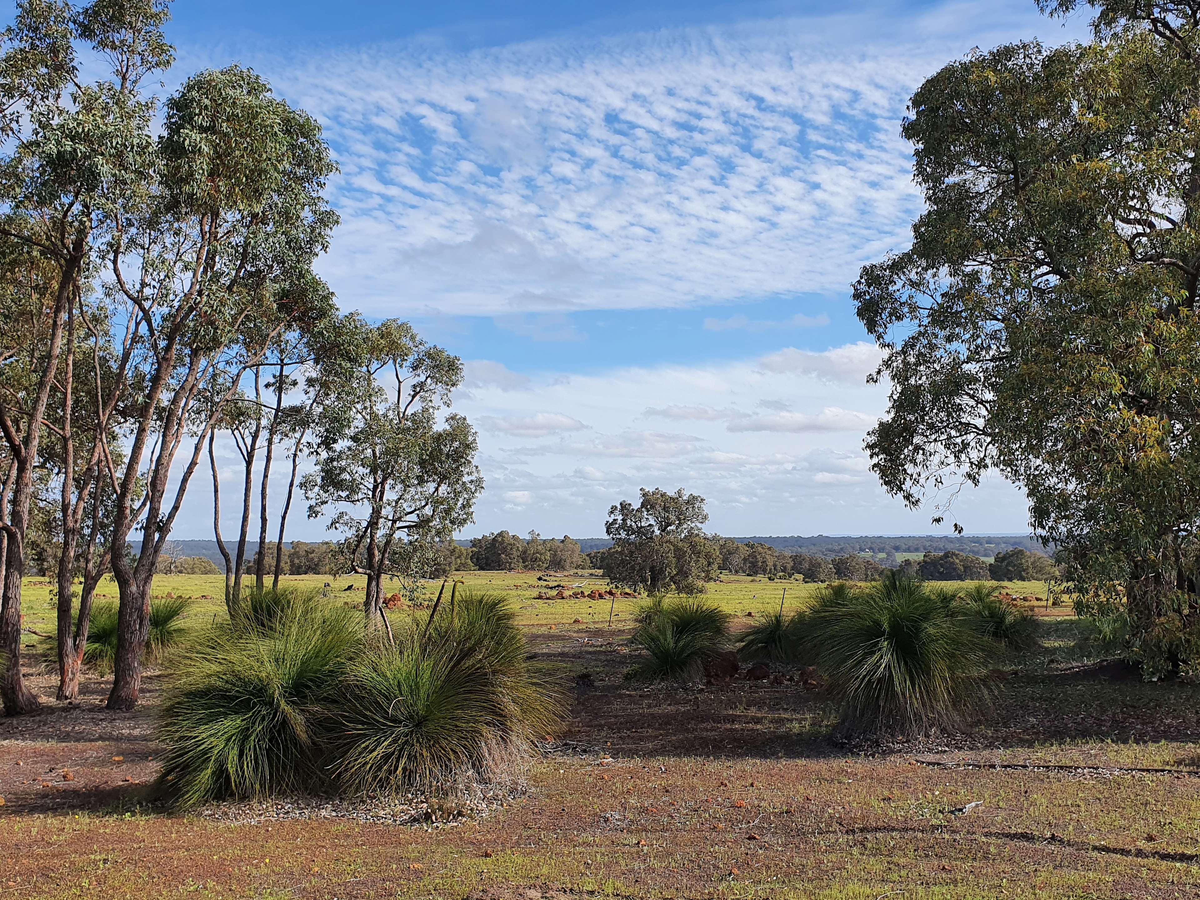 Chittering Acres - Hipcamp in Chittering, Western Australia