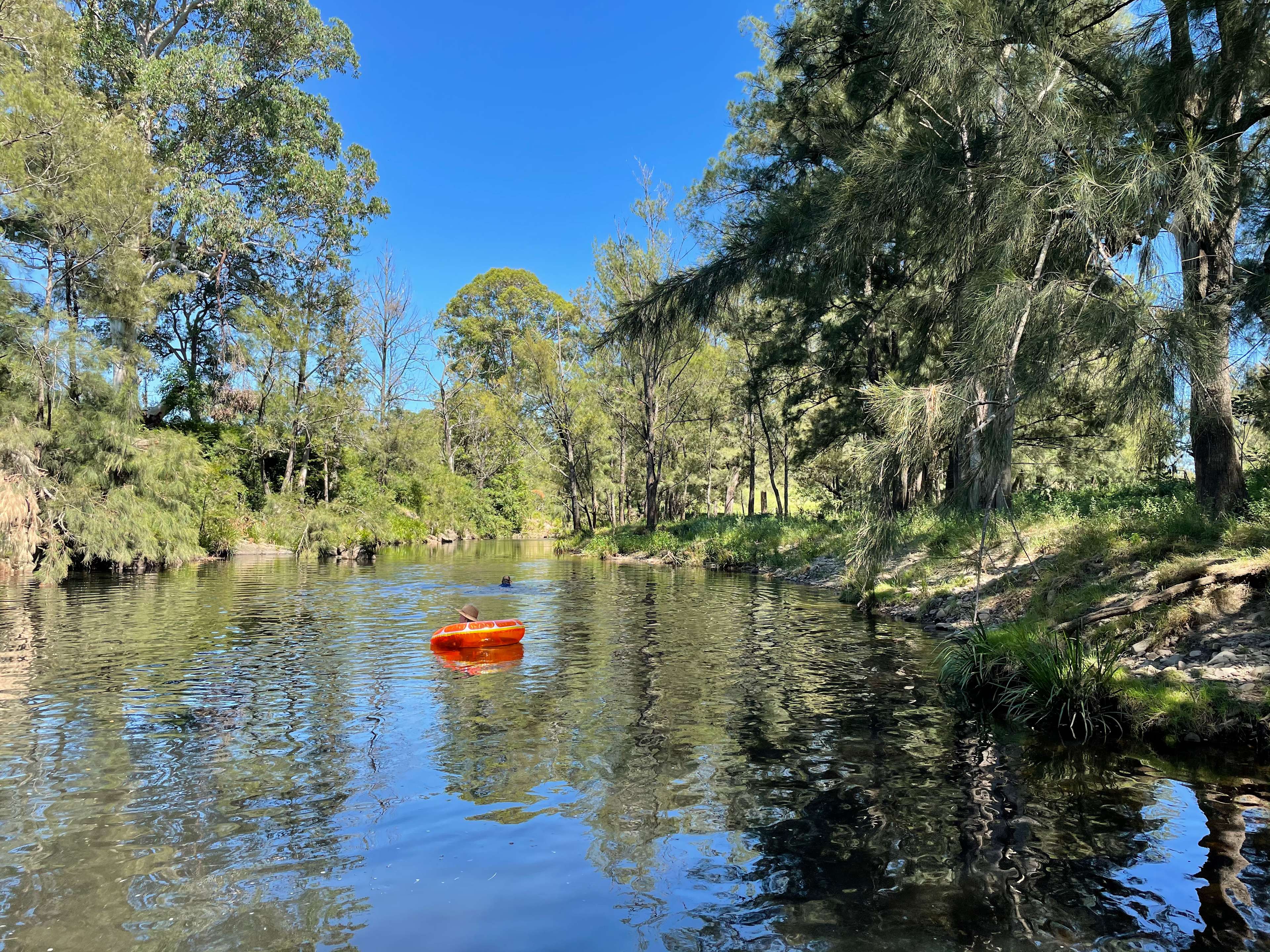 Platypus pools - Hipcamp in Monkerai, New South Wales