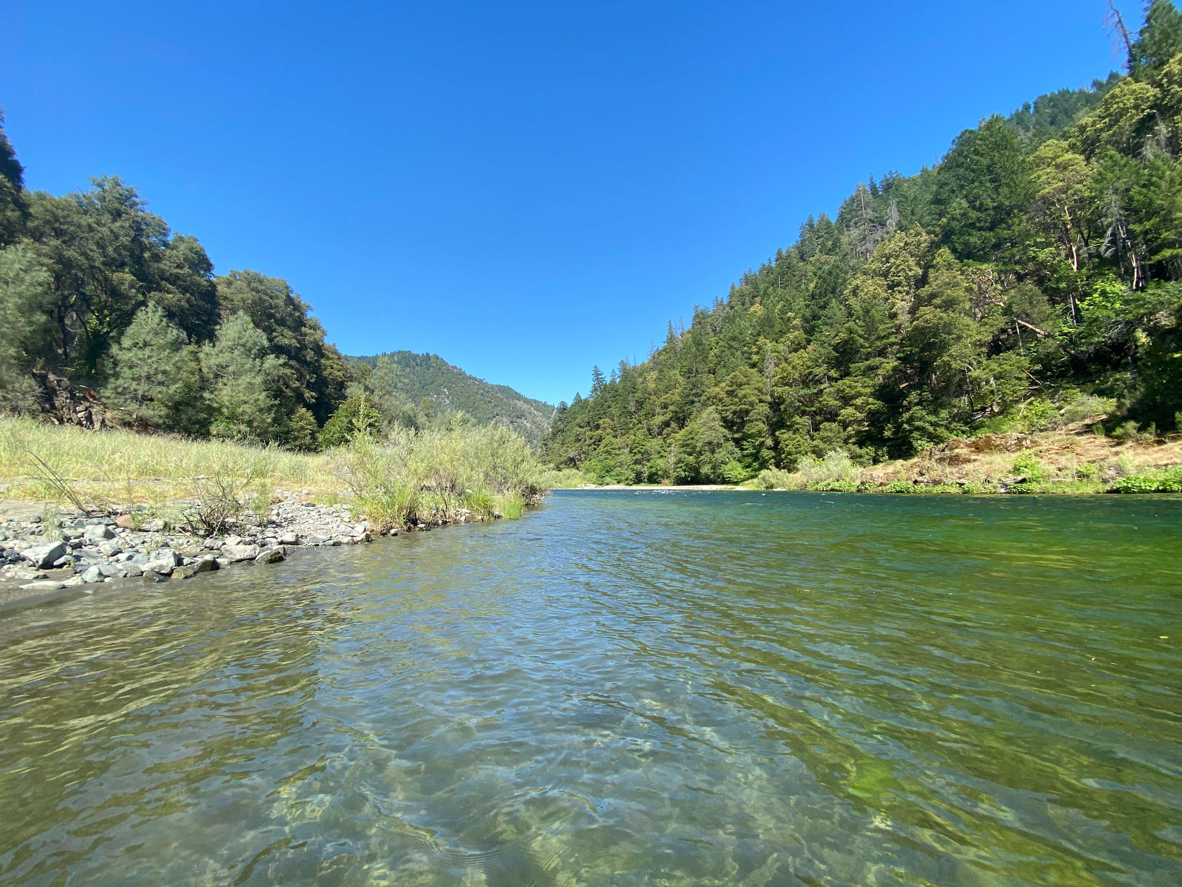 Six Rivers Forest RV Camping - Hipcamp in Salyer, California