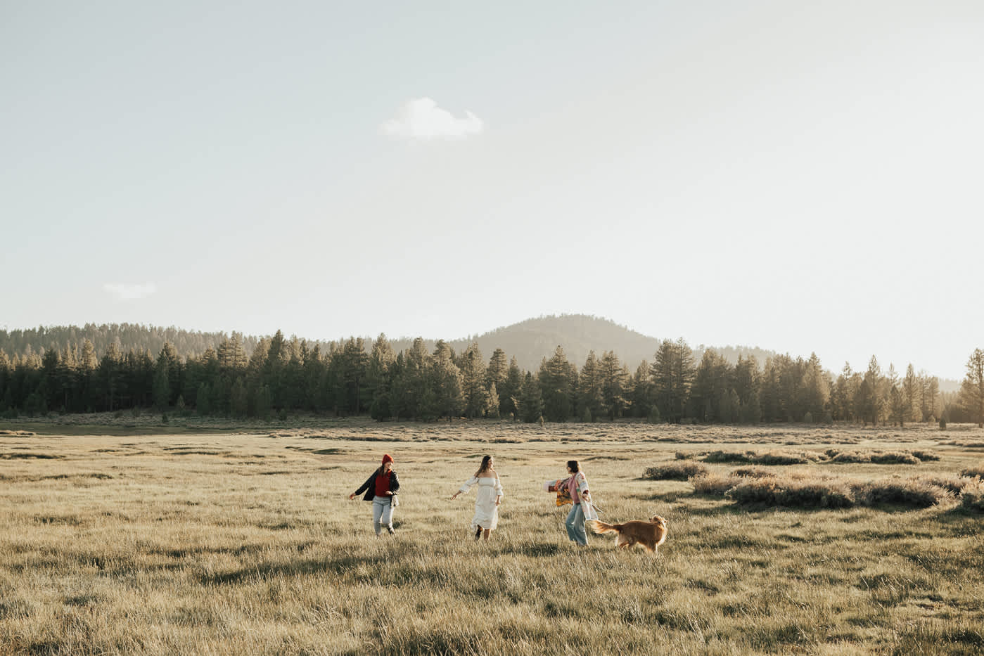 Holcomb Valley Ranch - Hipcamp in Fawnskin, California