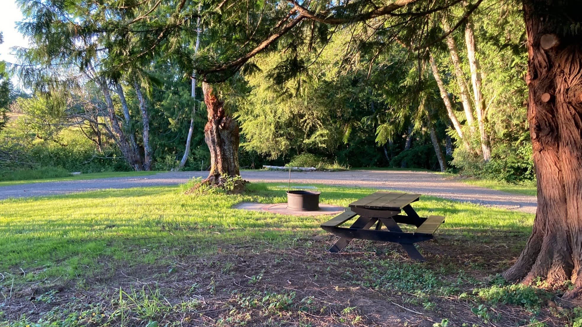Rusty Ranch Tree Farm and Forest - Hipcamp in , Washington