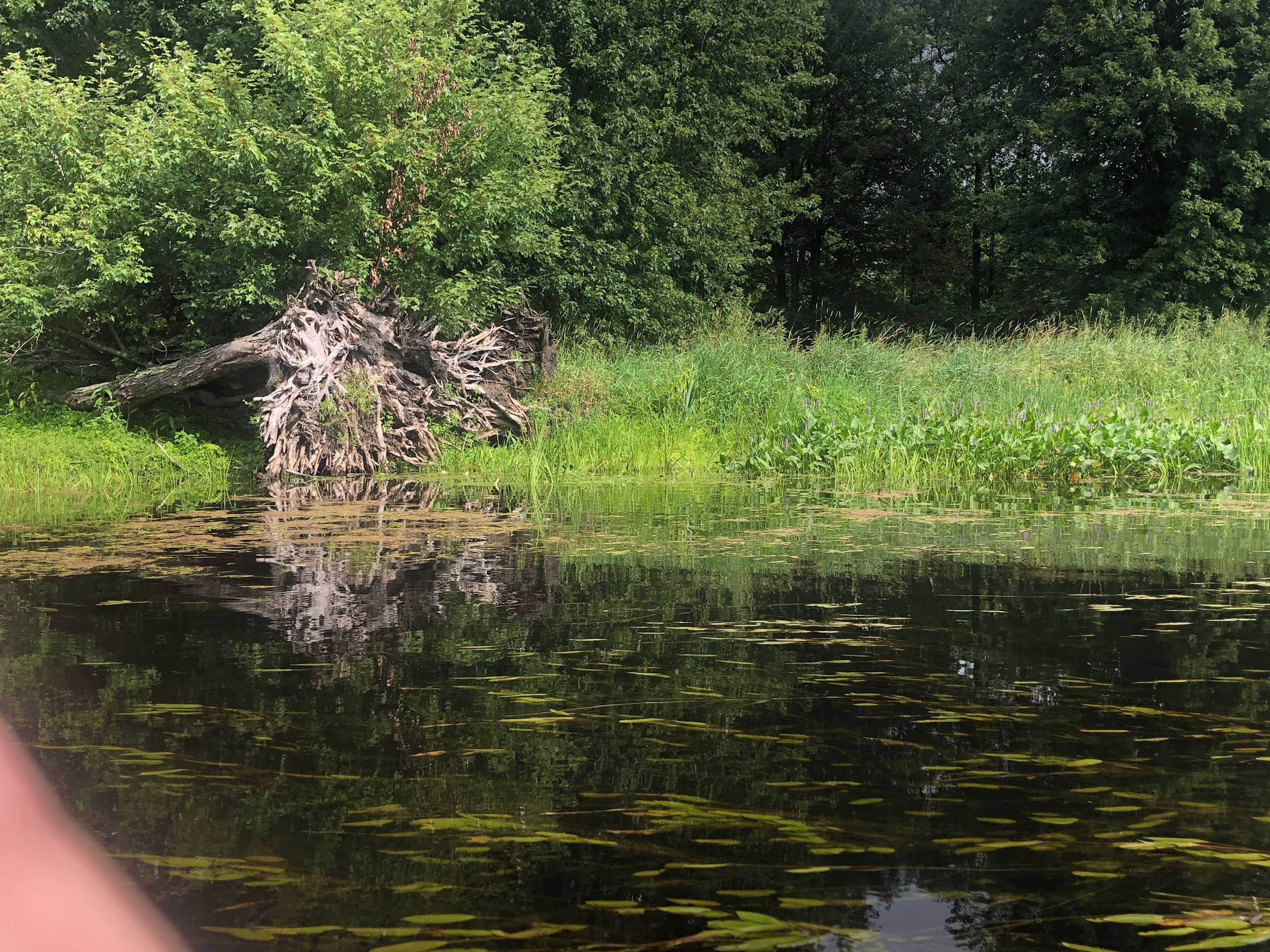 Perth Camping by the River - Hipcamp in Perth, Ontario