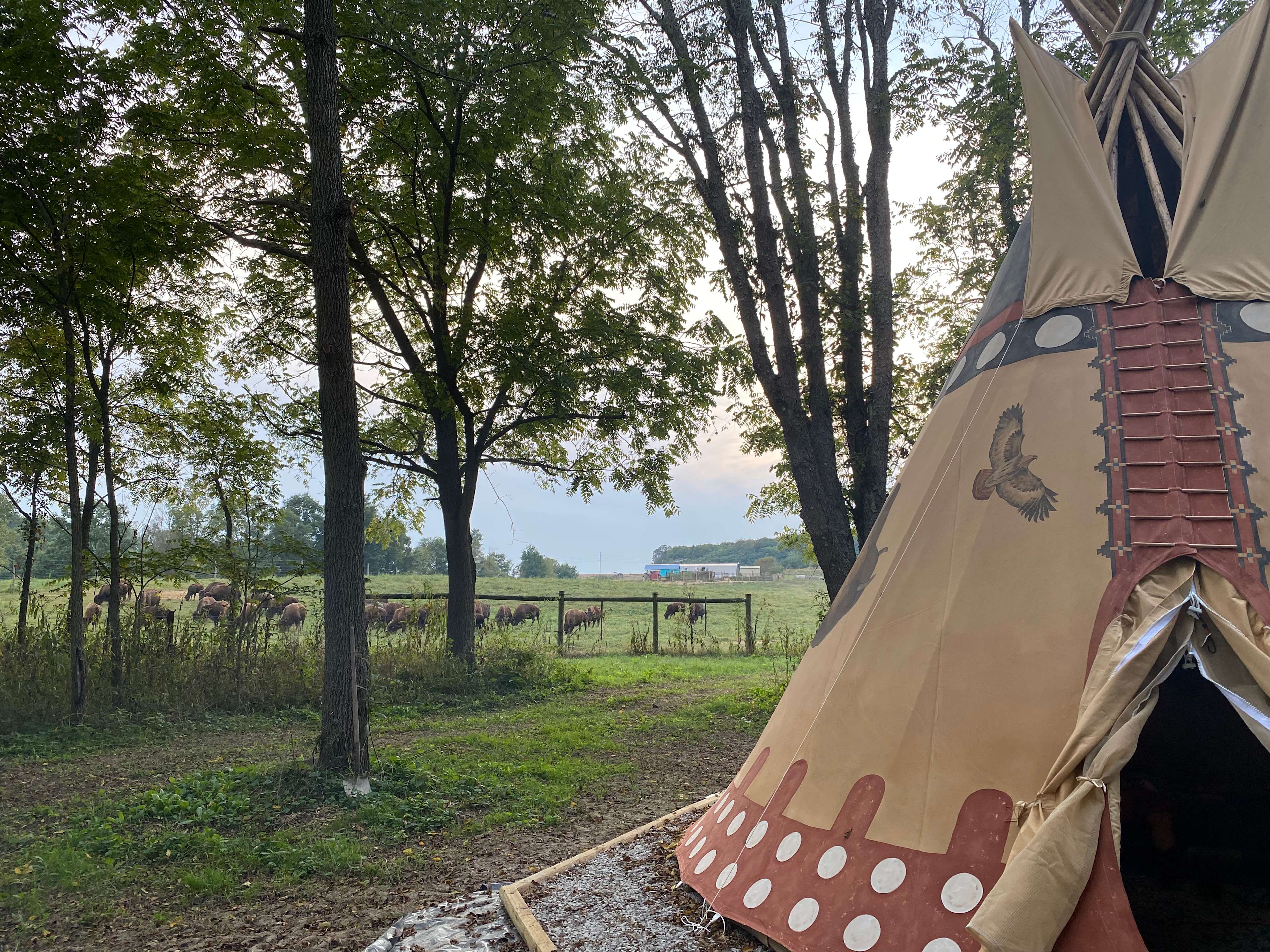 Cherokee Valley Bison Ranch Creekside Retreat - Hipcamp in Thornville, Ohio