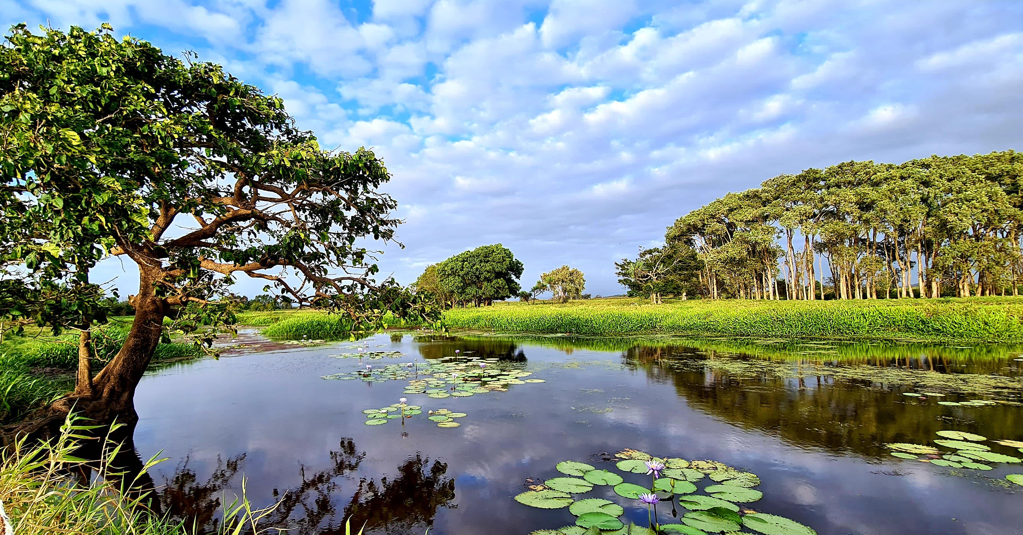 Mungalla Station - Hipcamp in Forrest Beach, Queensland