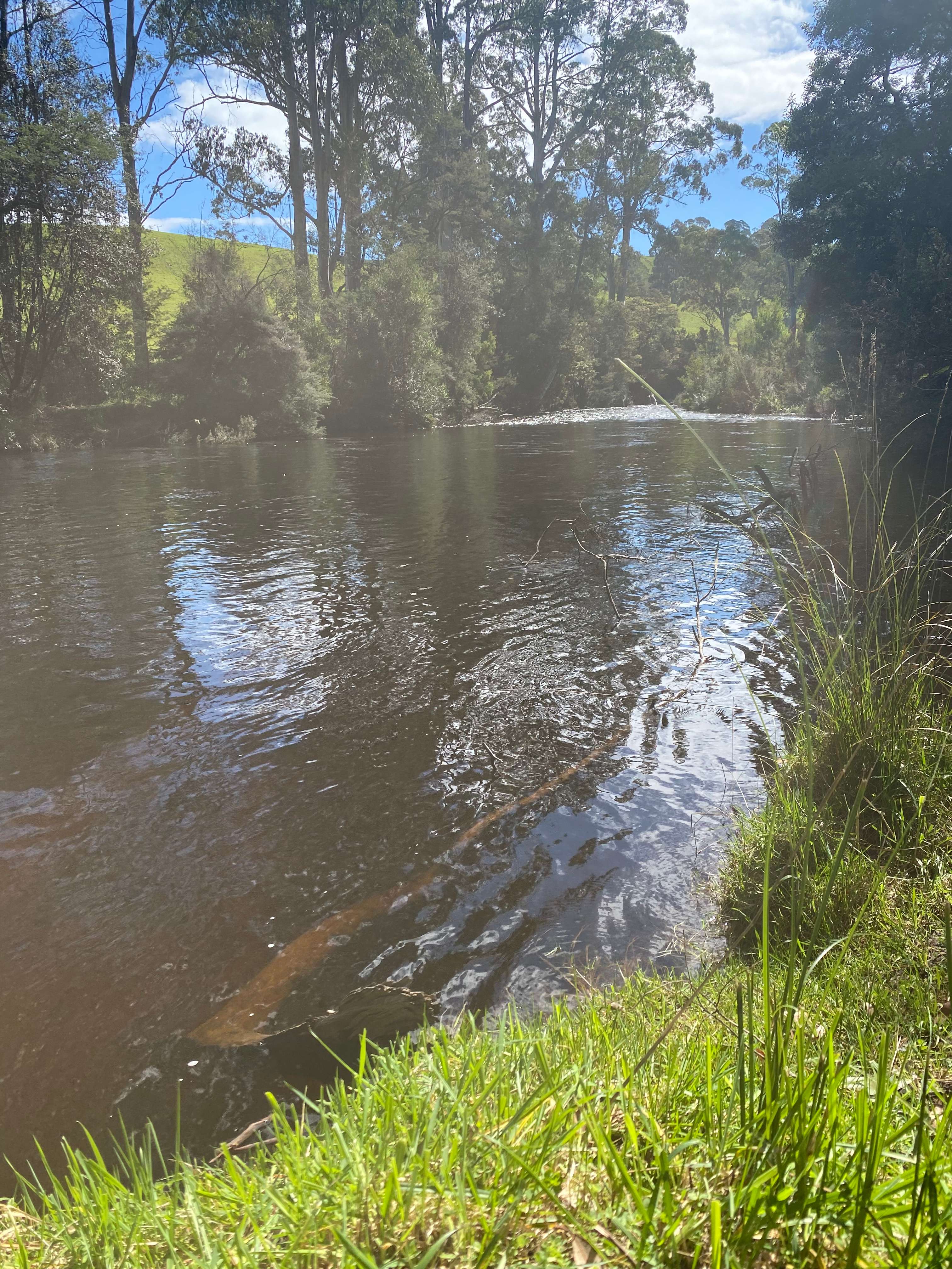 Blythe River Campground - Hipcamp in Camena, Tasmania