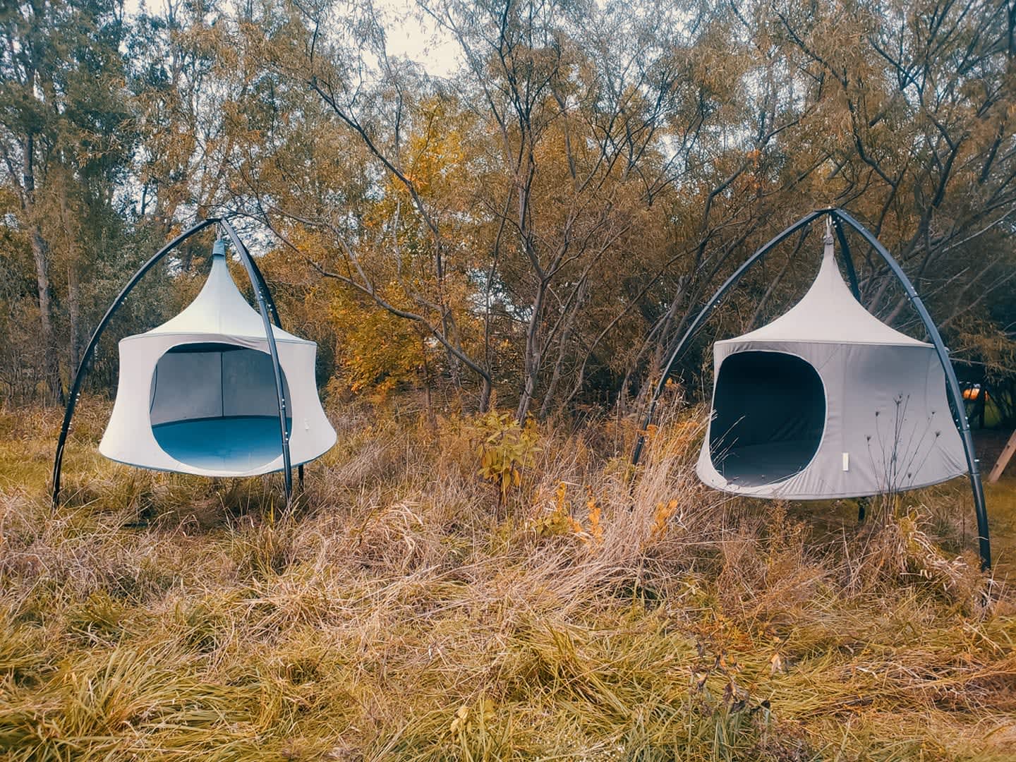 Windy Goat Acres - Hipcamp in Chelsea, Iowa