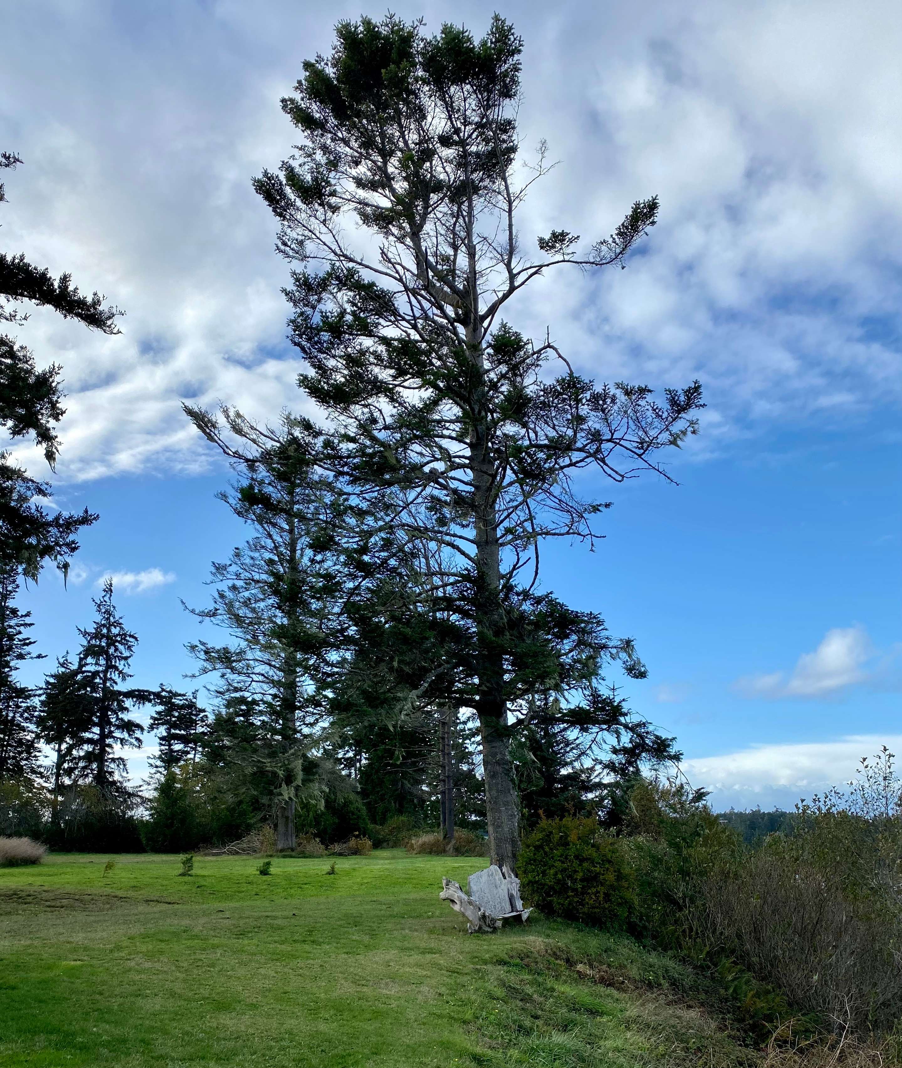 Prosper Bluff - Hipcamp in Bandon, Oregon