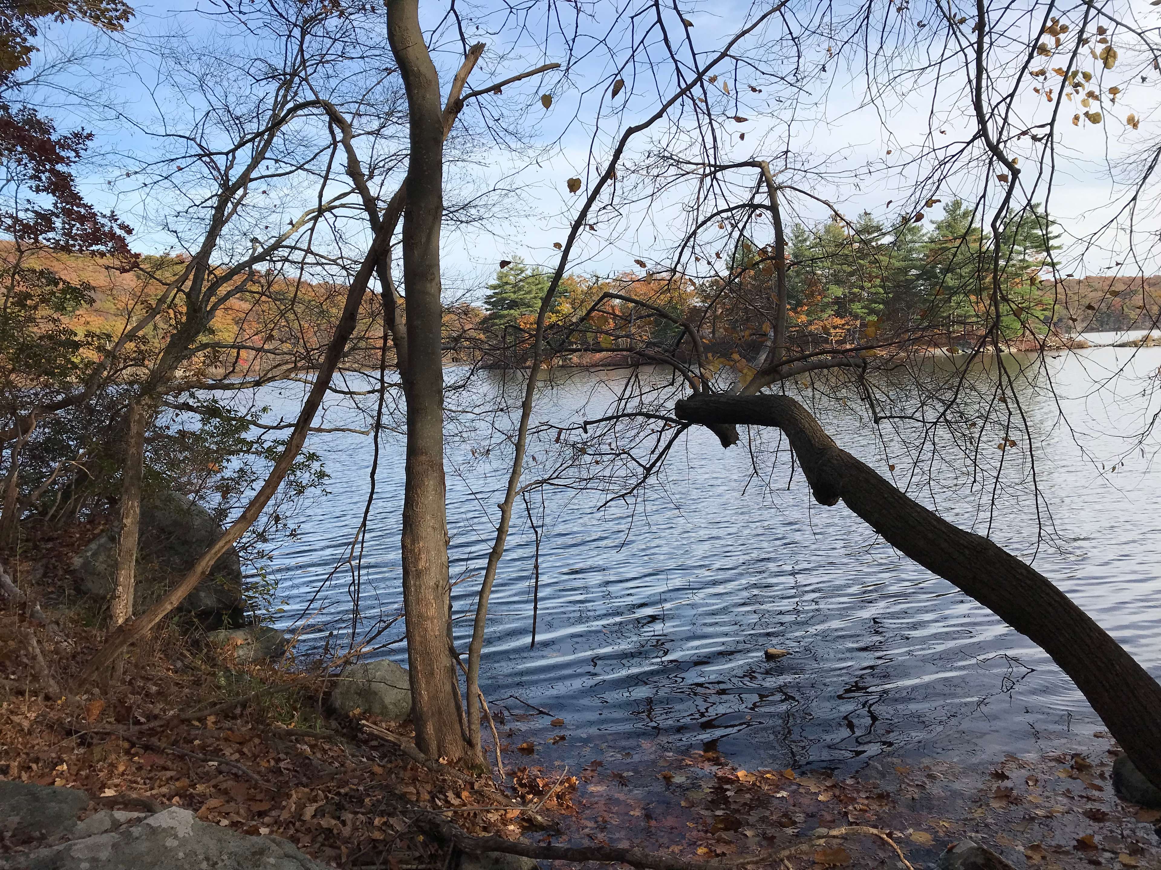 Paradise Valley Homestead - Hipcamp in West Milford, New Jersey