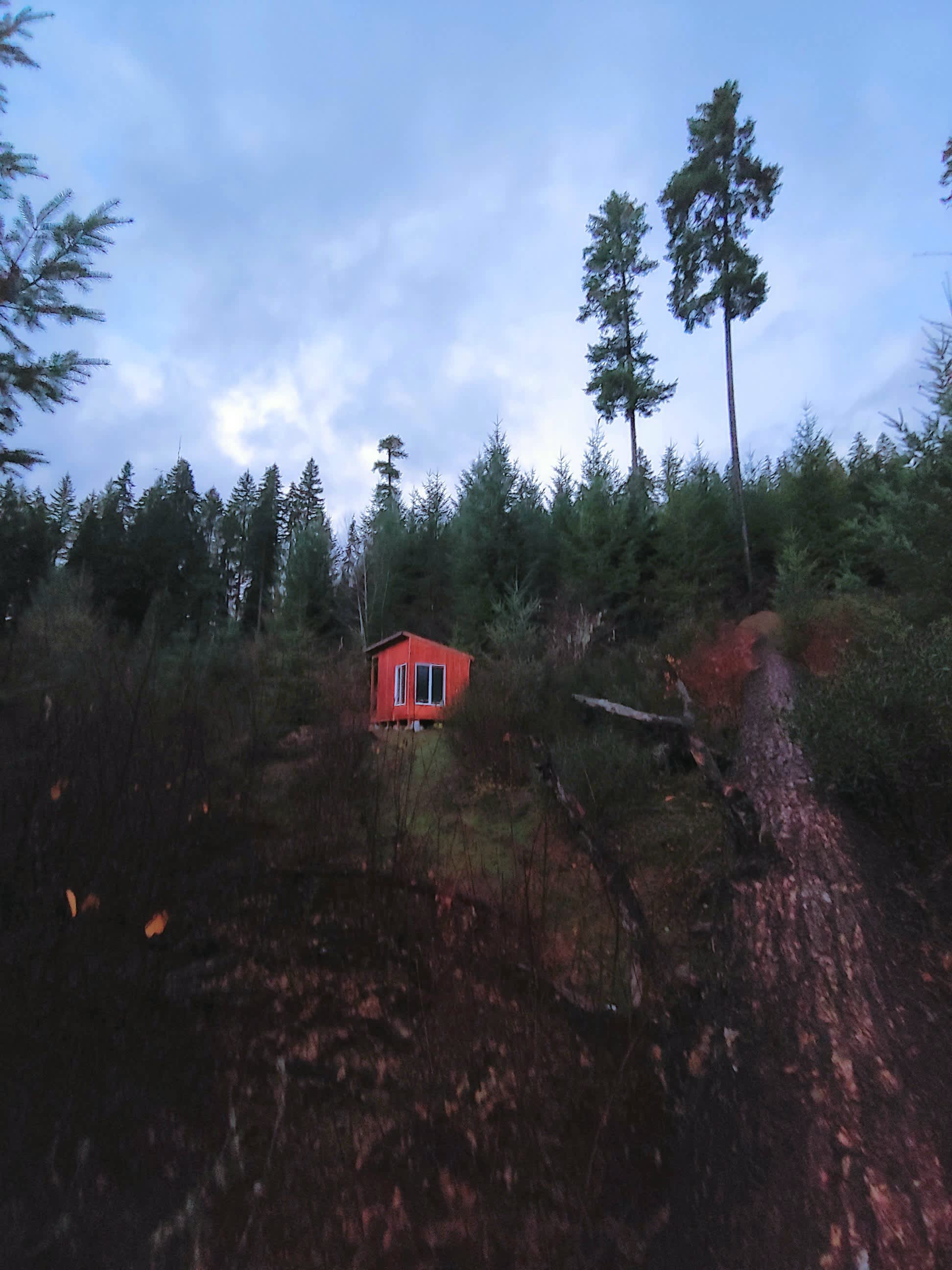 Waterfall Sanctuary - Hipcamp in Carson, Washington