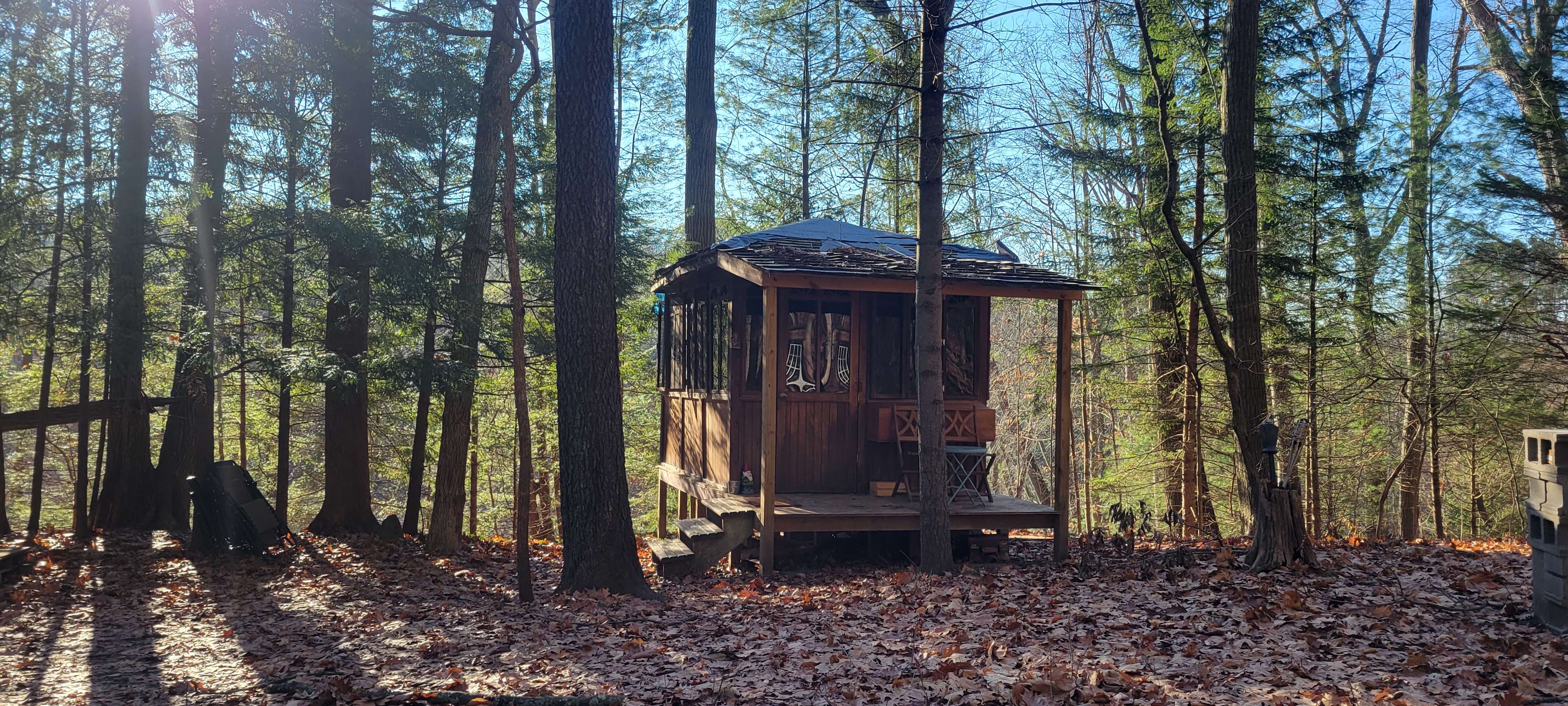 Hemlock & Hobbit Forest - Hipcamp in Akron, Ohio