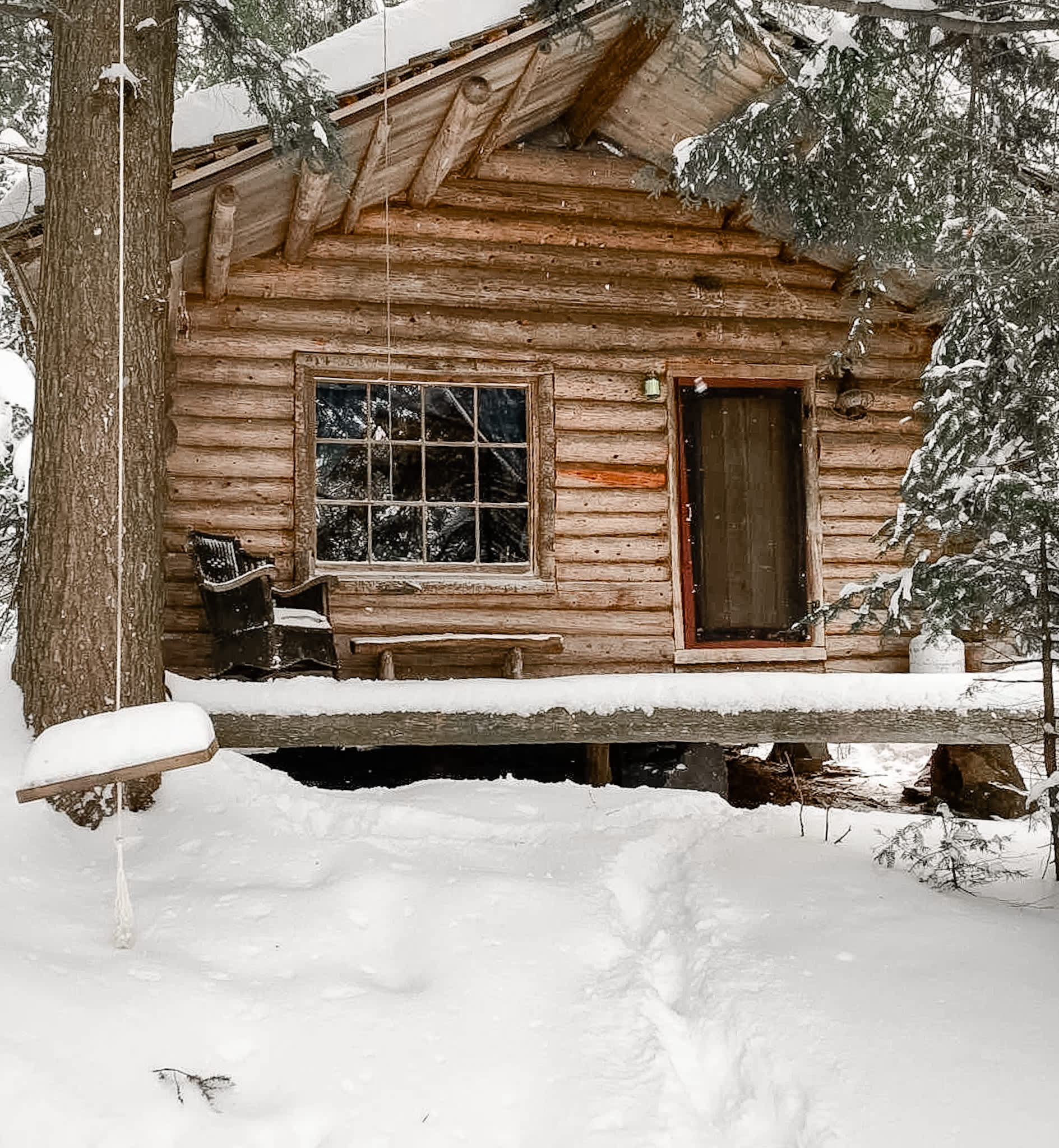 Bear Tree Homestead - Hipcamp in , Michigan