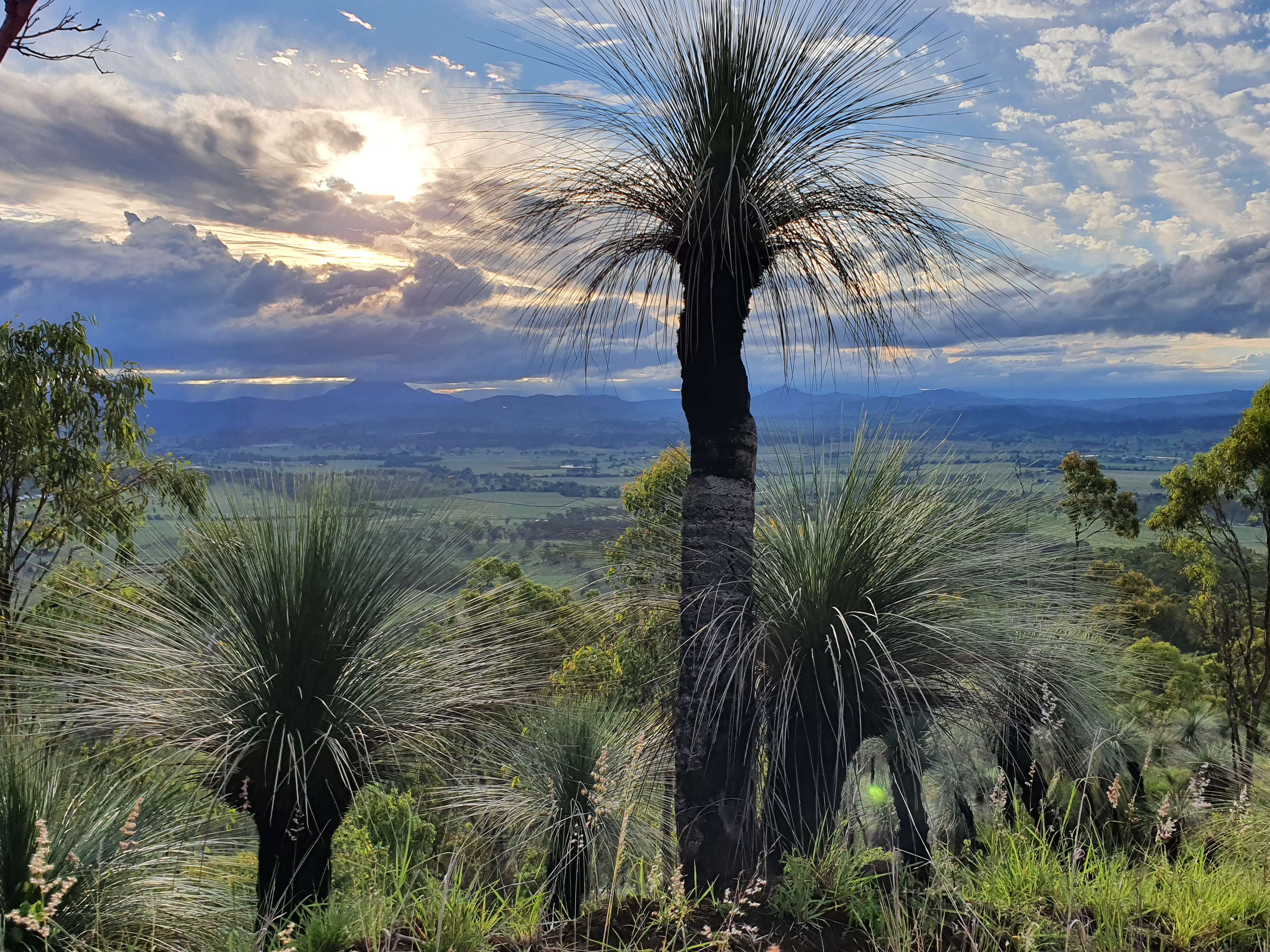 Larapinta - Hipcamp in Laravale, Queensland