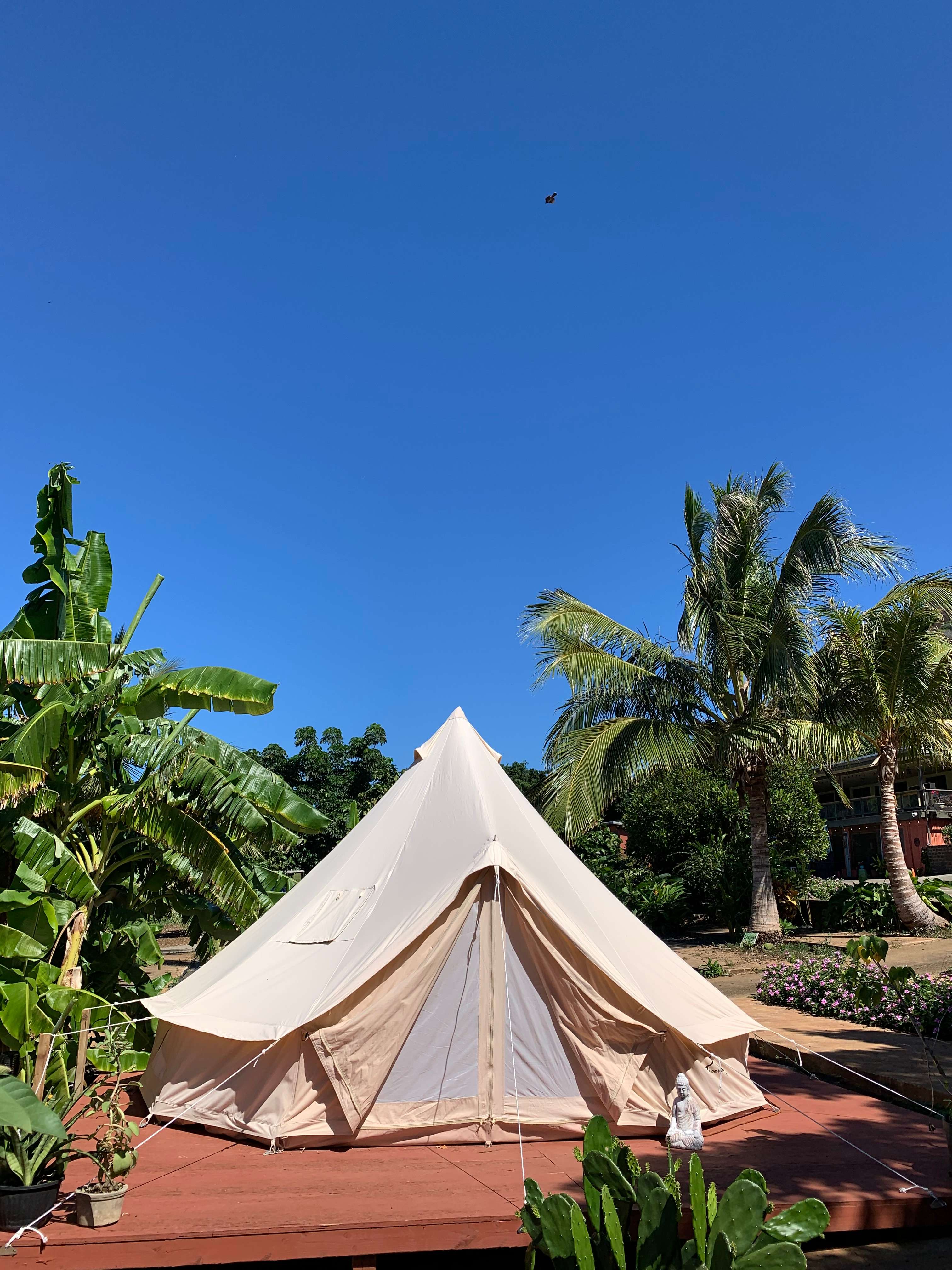 Sun Farm Hawaii @ Koko Head - Hipcamp in Honolulu, Hawaii