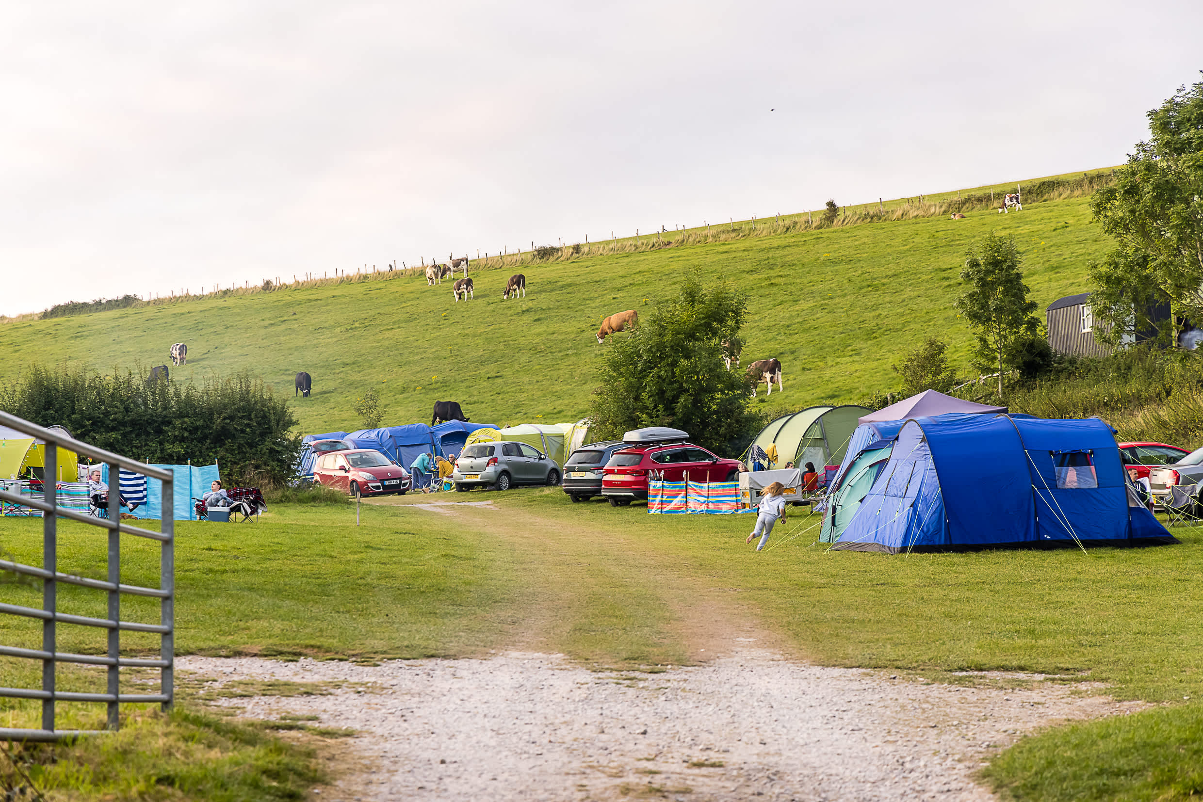 Housedean Farm Campsite - Hipcamp in East Sussex, England