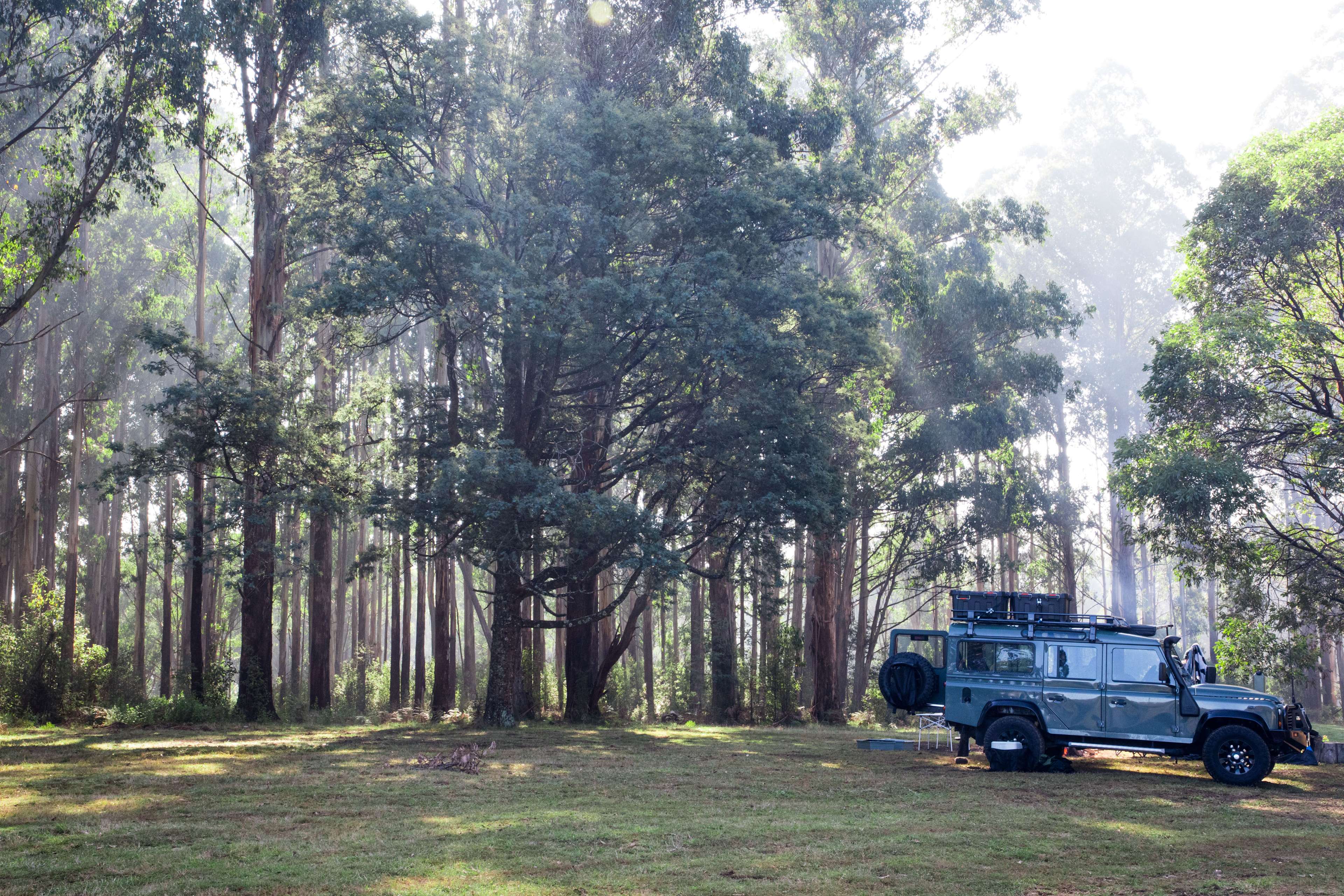 Toolangi Heights - Hipcamp in , Victoria