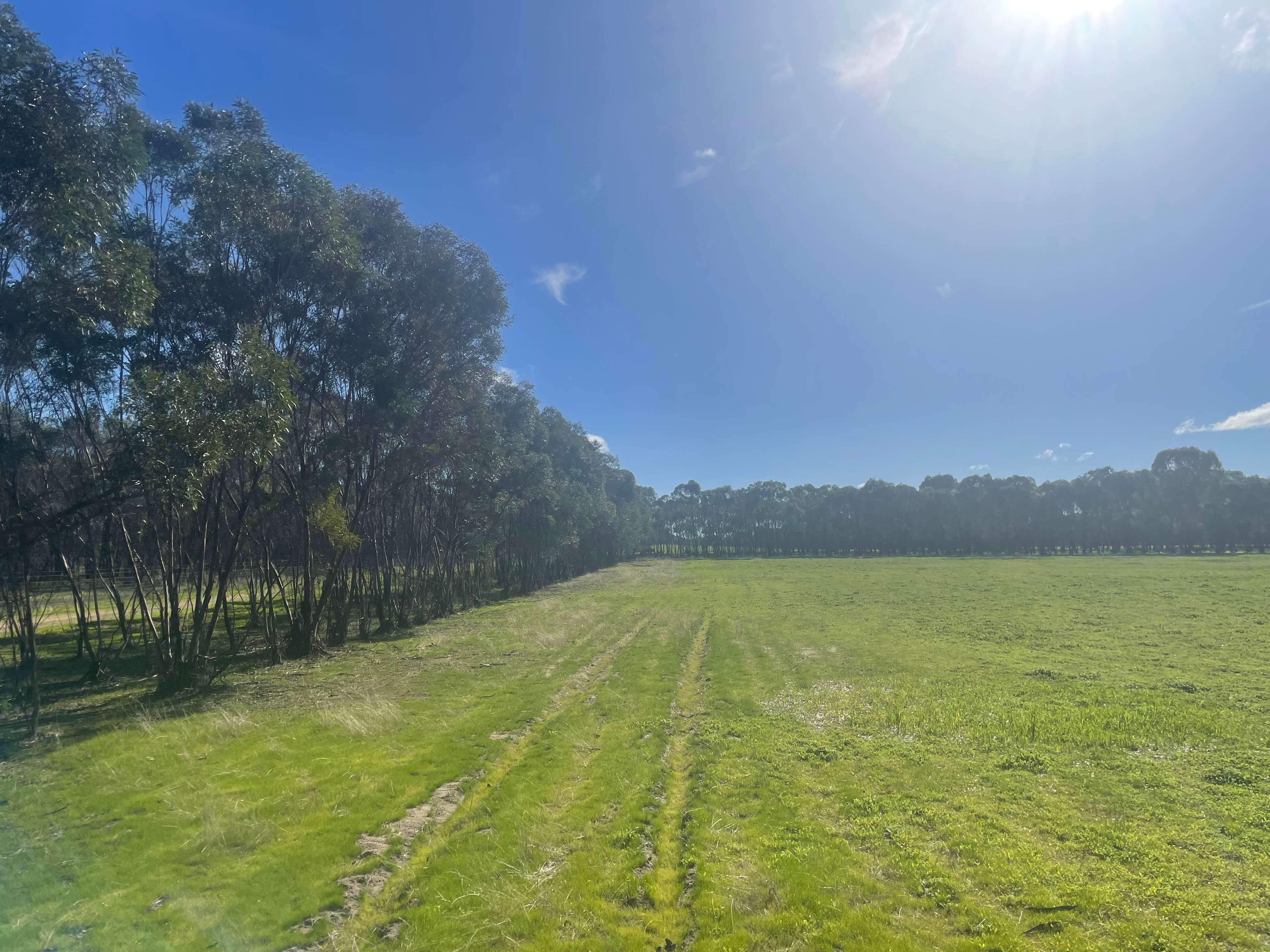 McCabe Farm - Hipcamp in Brookton, Western Australia