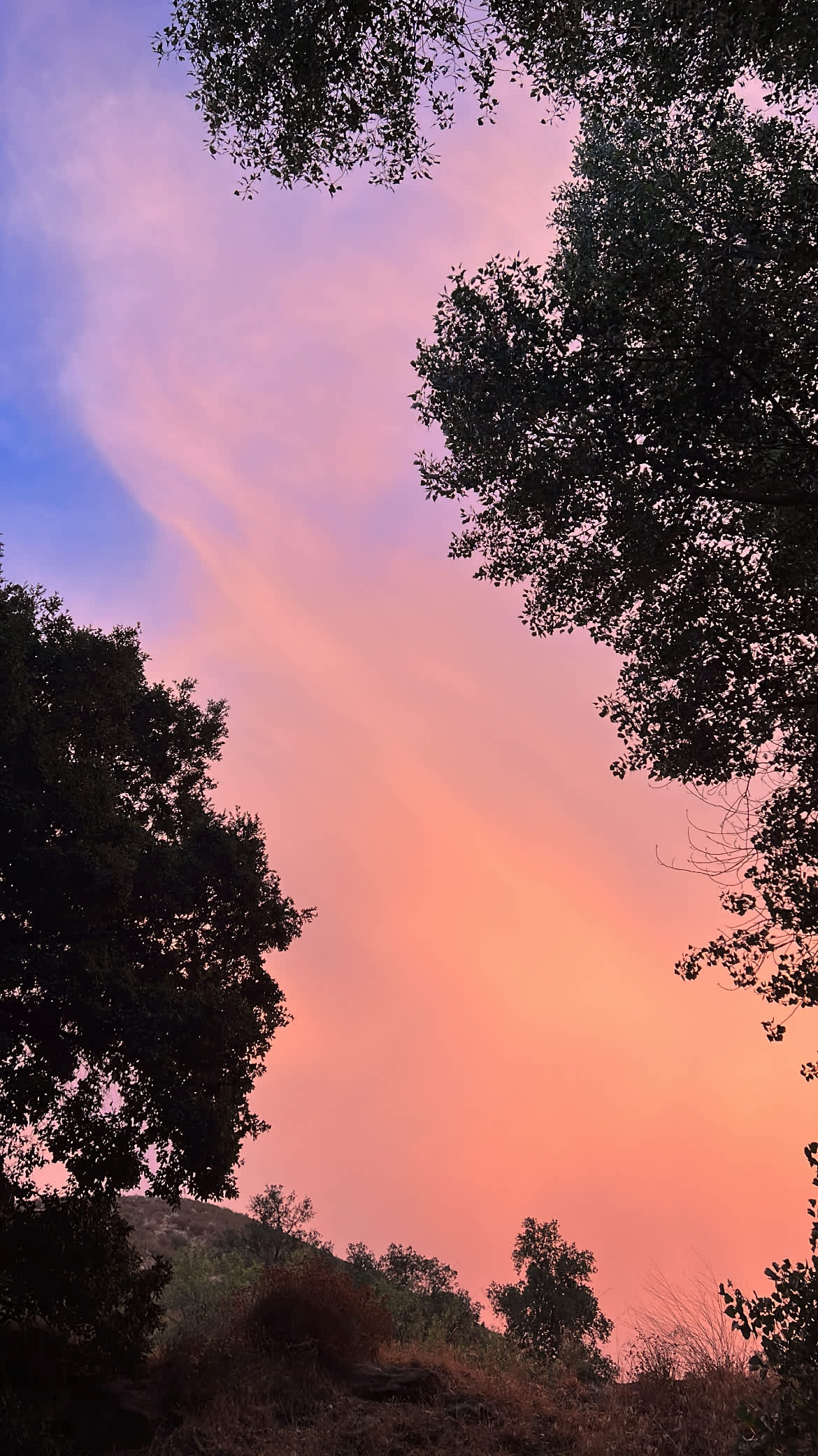 Banner Ranch Julian - Hipcamp in , California