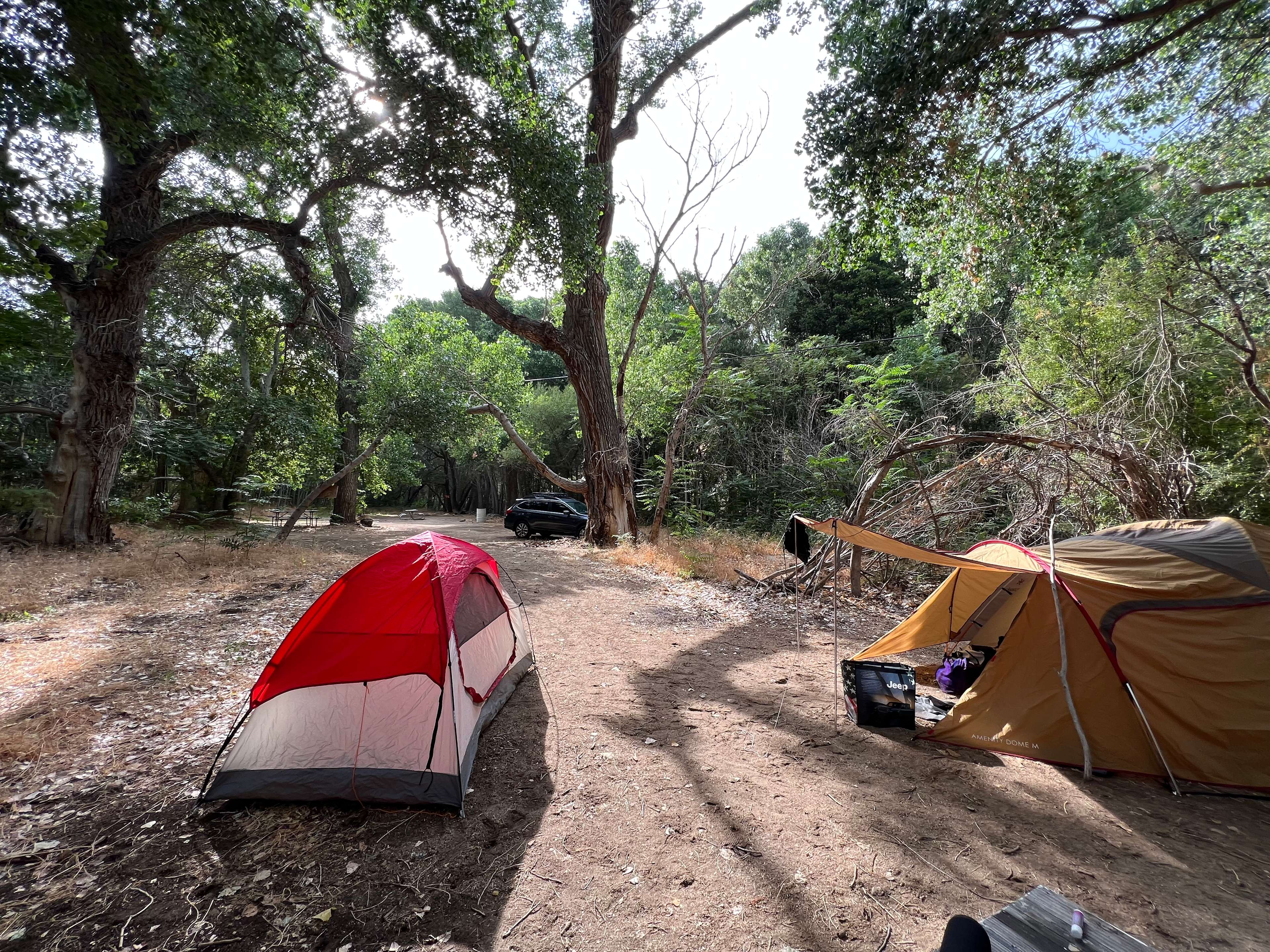 Banner Ranch Julian - Hipcamp in , California