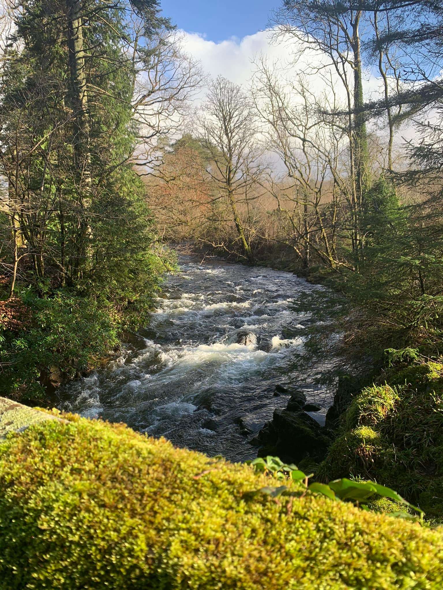 Dalegarth Campsite - Hipcamp in , England