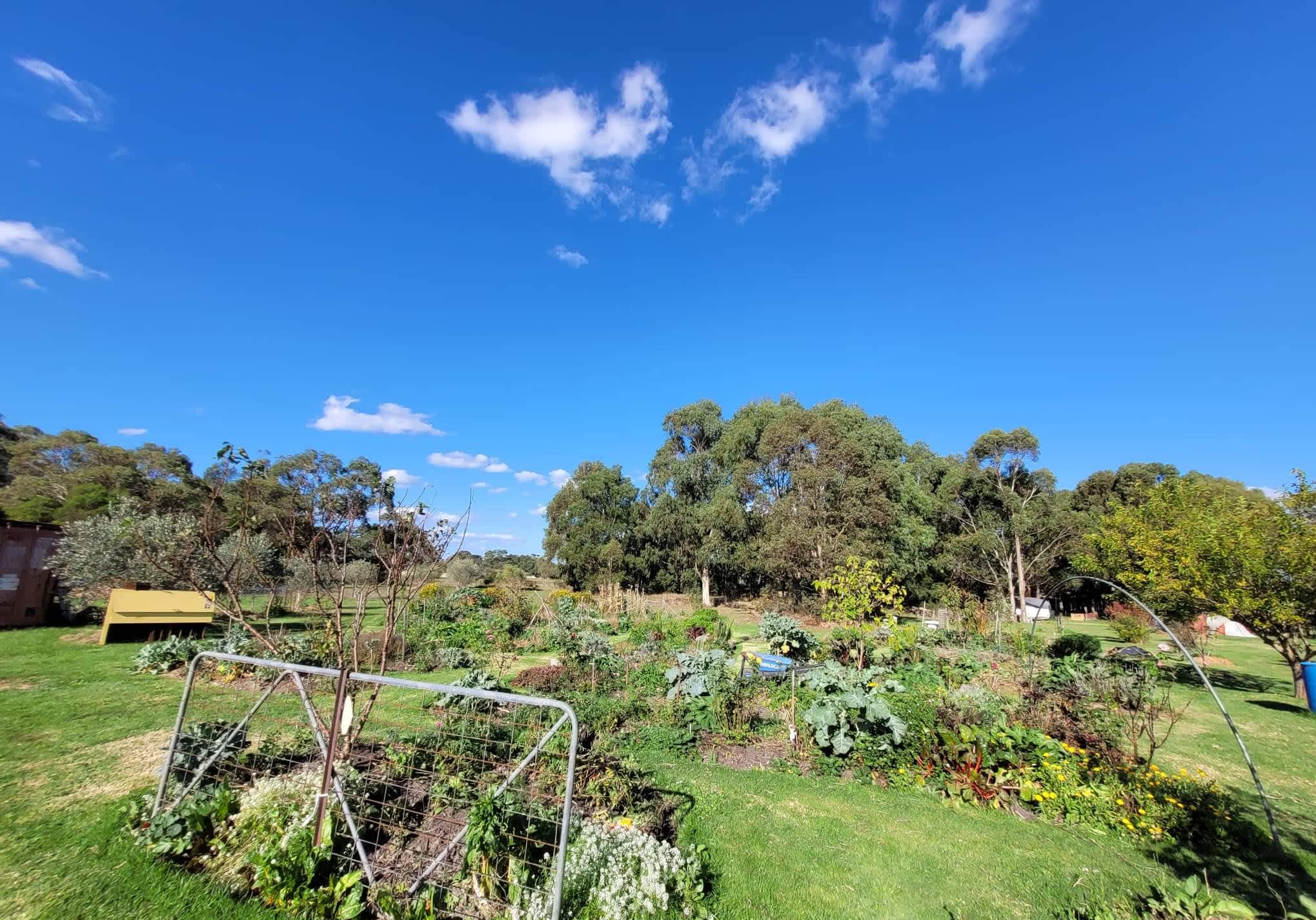 Hedley Gardens and Bush Camp - Hipcamp in Hedley, Victoria