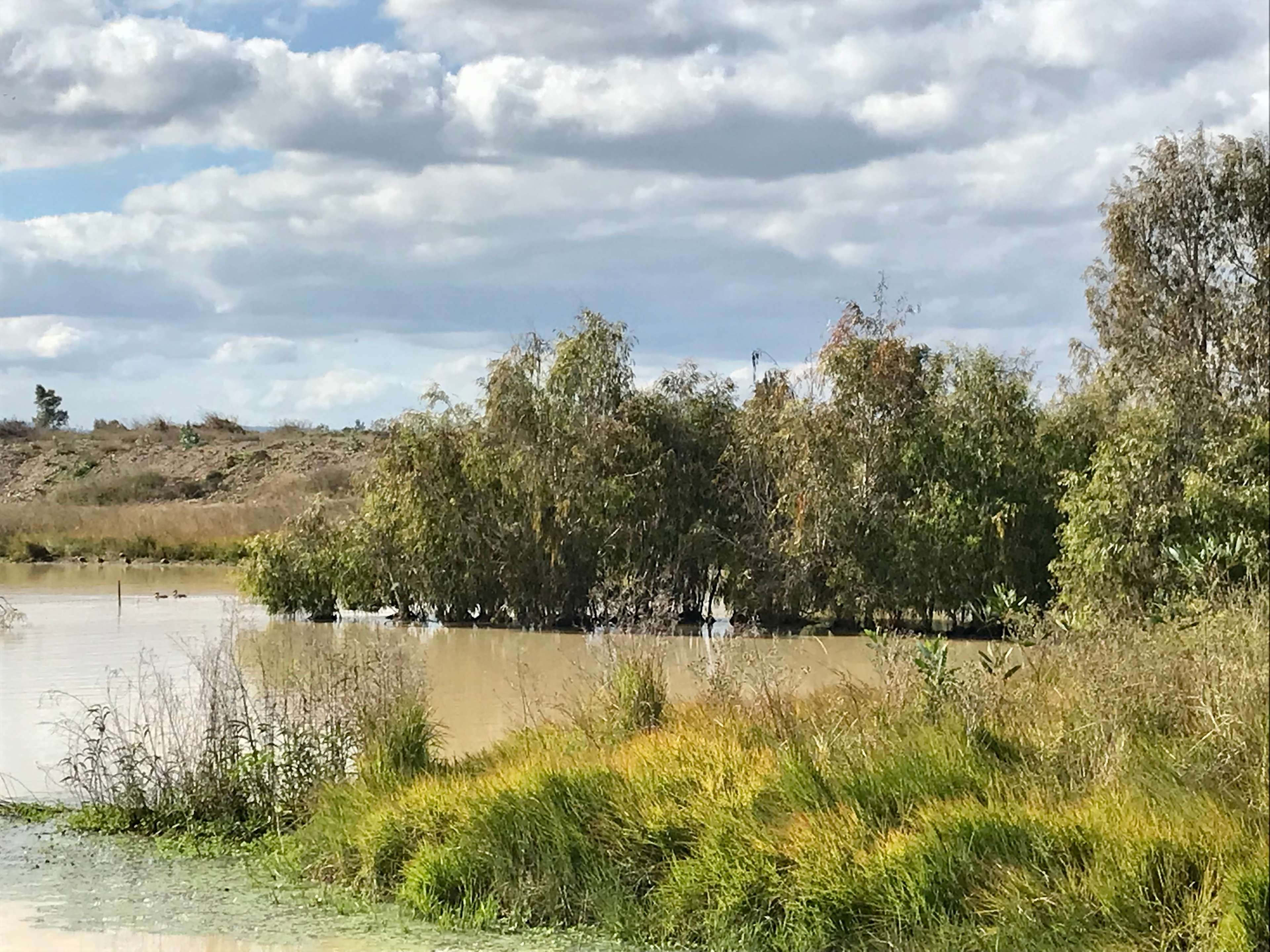 Hectic Valley Farm - Hipcamp in , Queensland