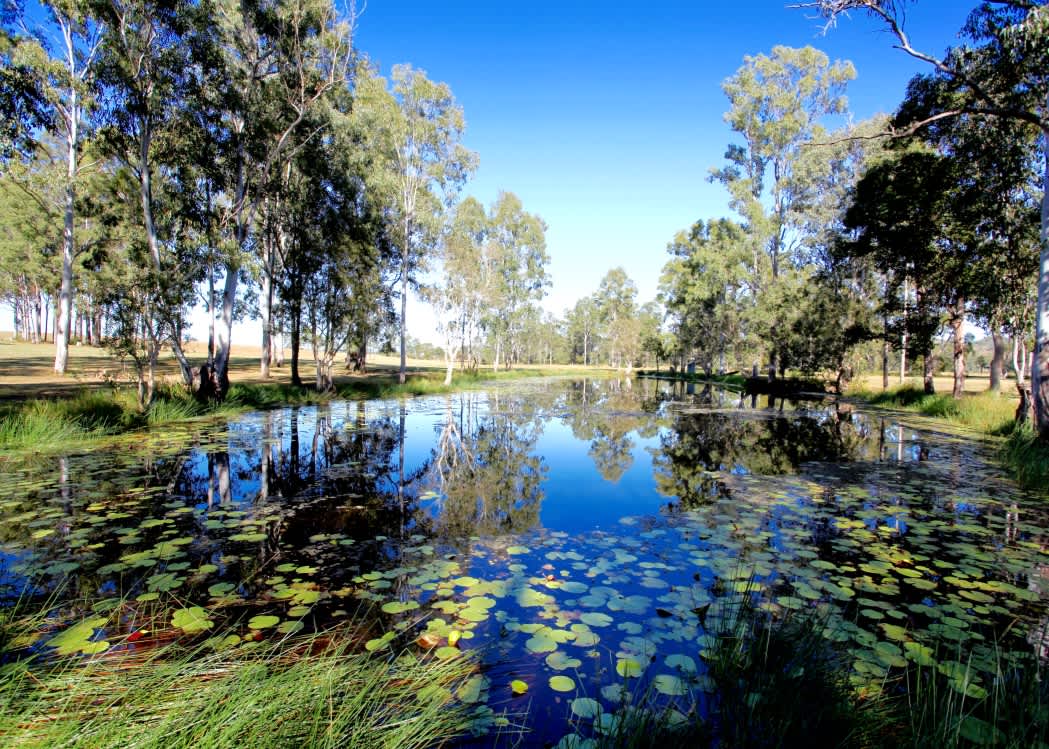 Hangar-O - Hipcamp in Gunalda, Queensland
