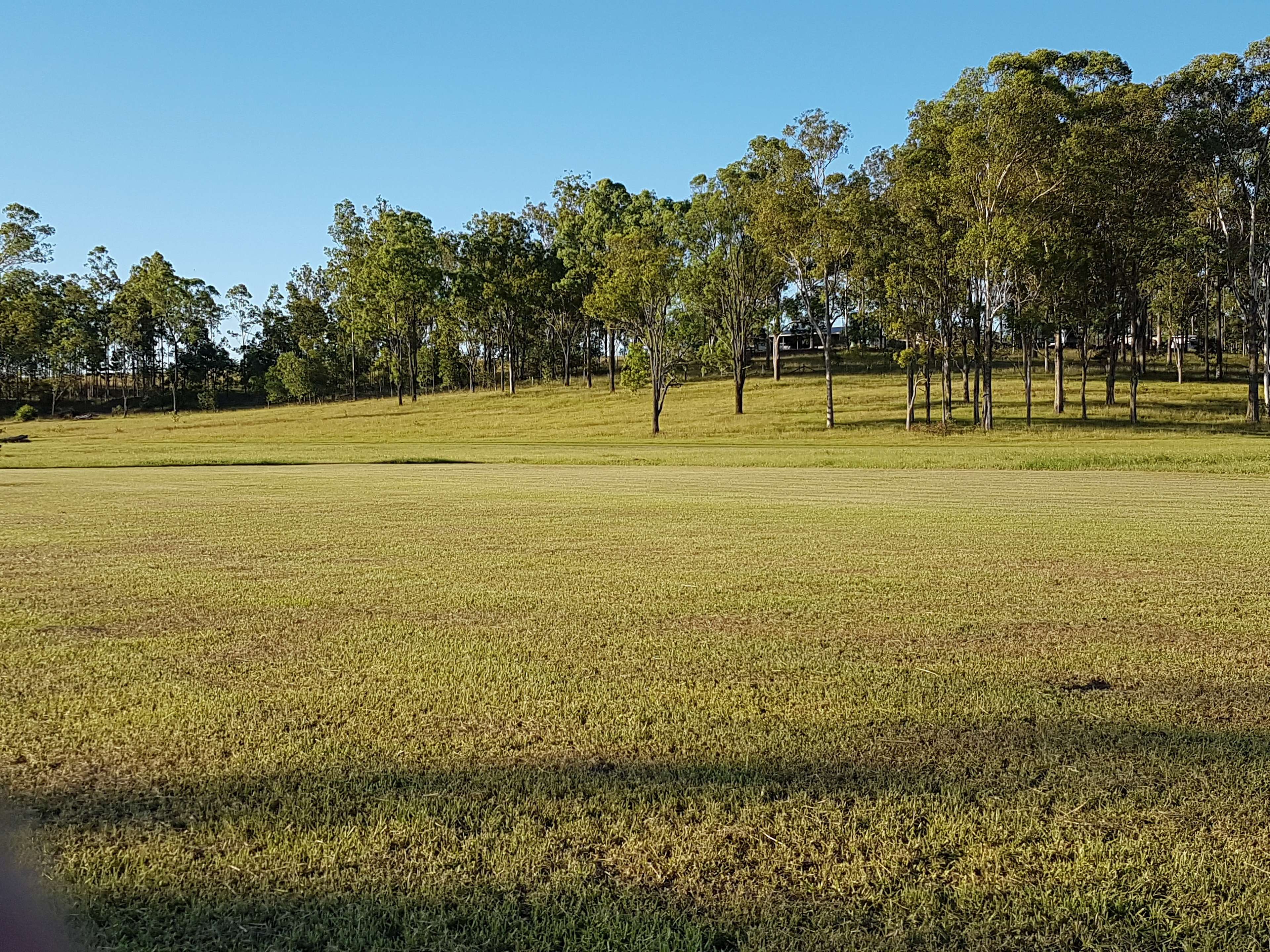 Hangar-O - Hipcamp in Gunalda, Queensland