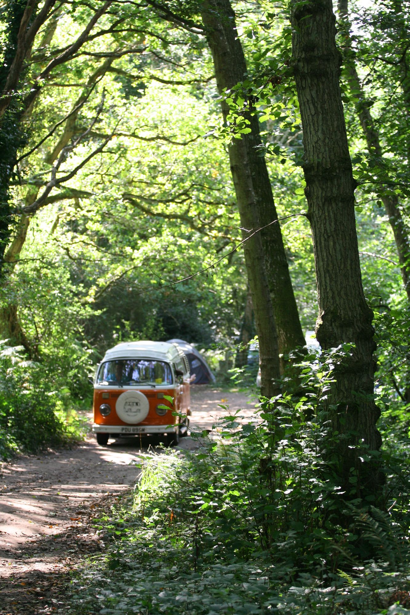 Burnbake Campsite - Hipcamp in Dorset, England