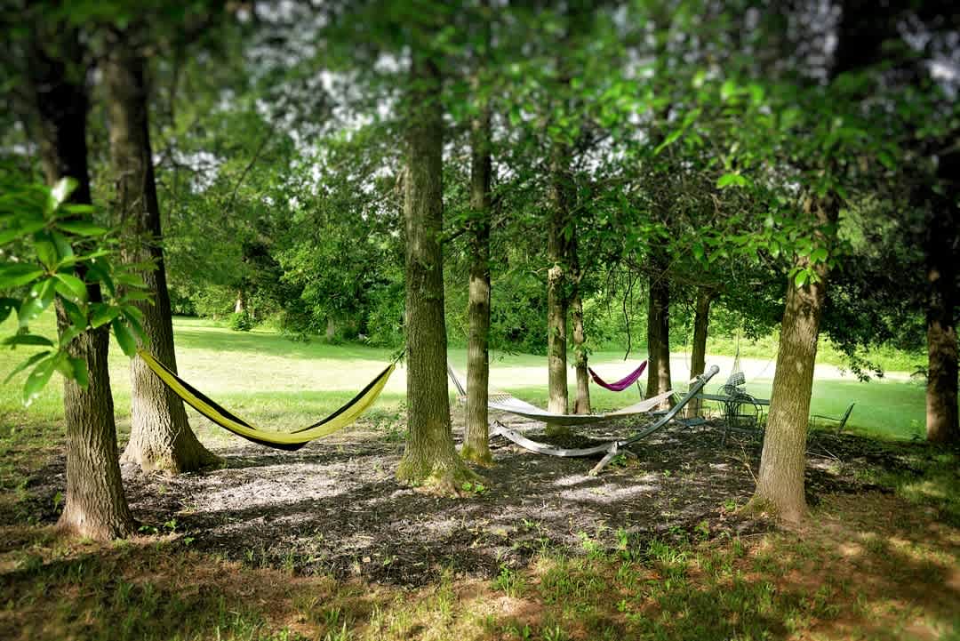 30 Best Campgrounds in Missouri