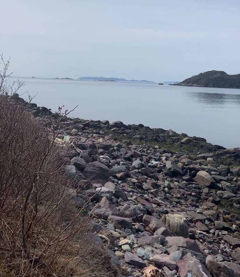 Camping in Newfoundland and Labrador: The 9 Best Campgrounds - Hipcamp