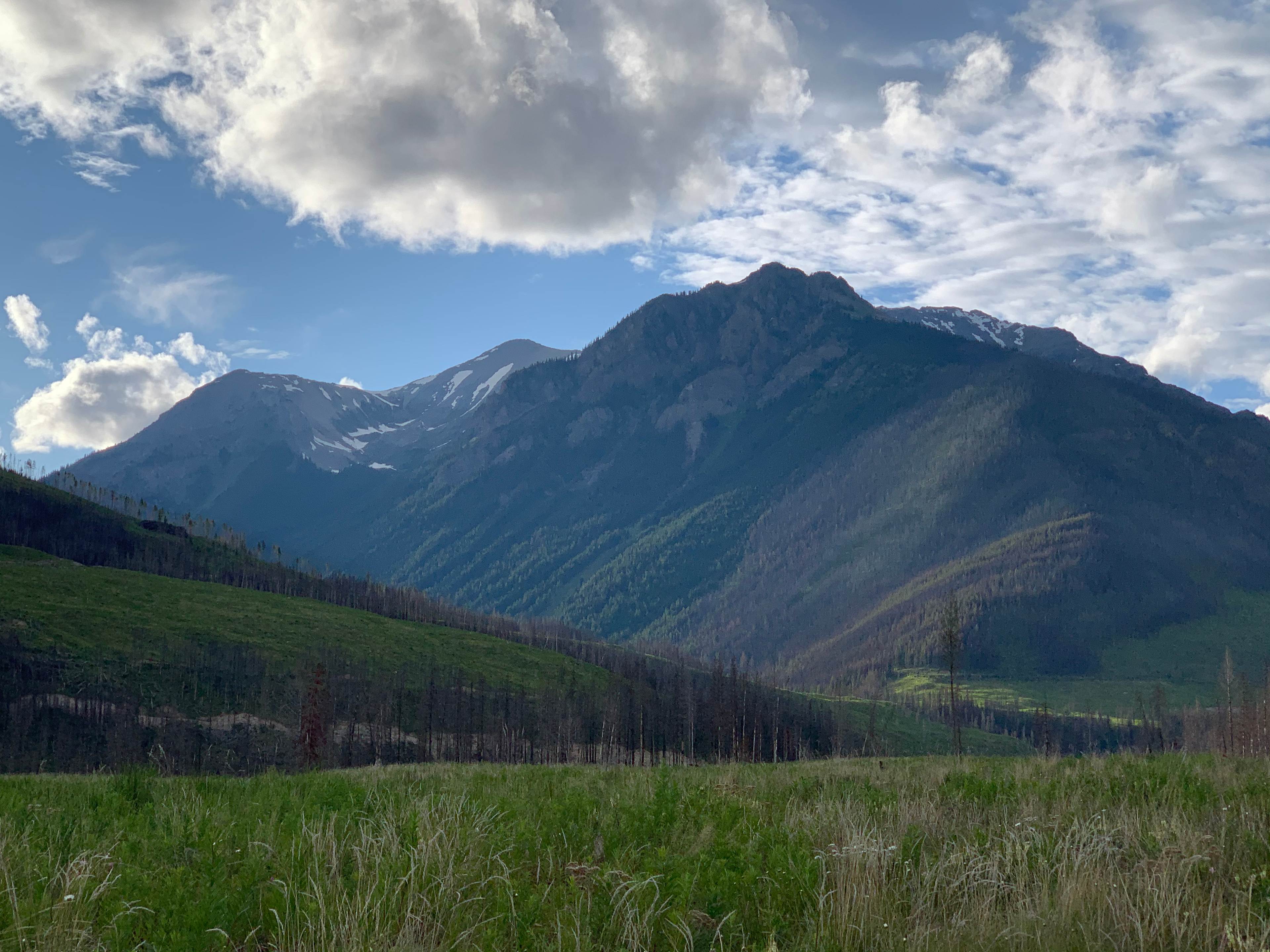 Discover the 20 best campgrounds near Invermere, British Columbia