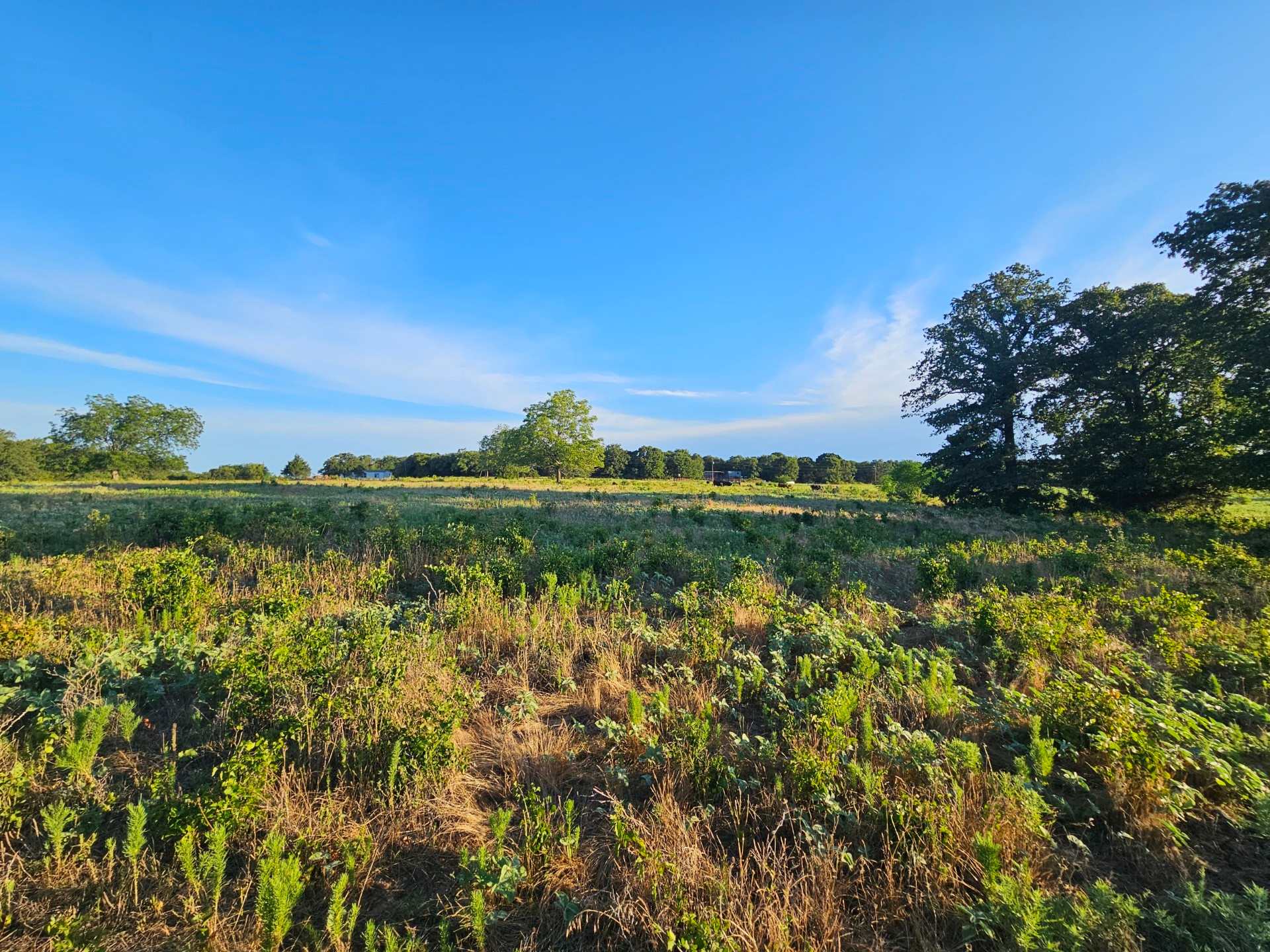 Andrea’s Grasslands Getaway - Hipcamp in Alvord, Texas