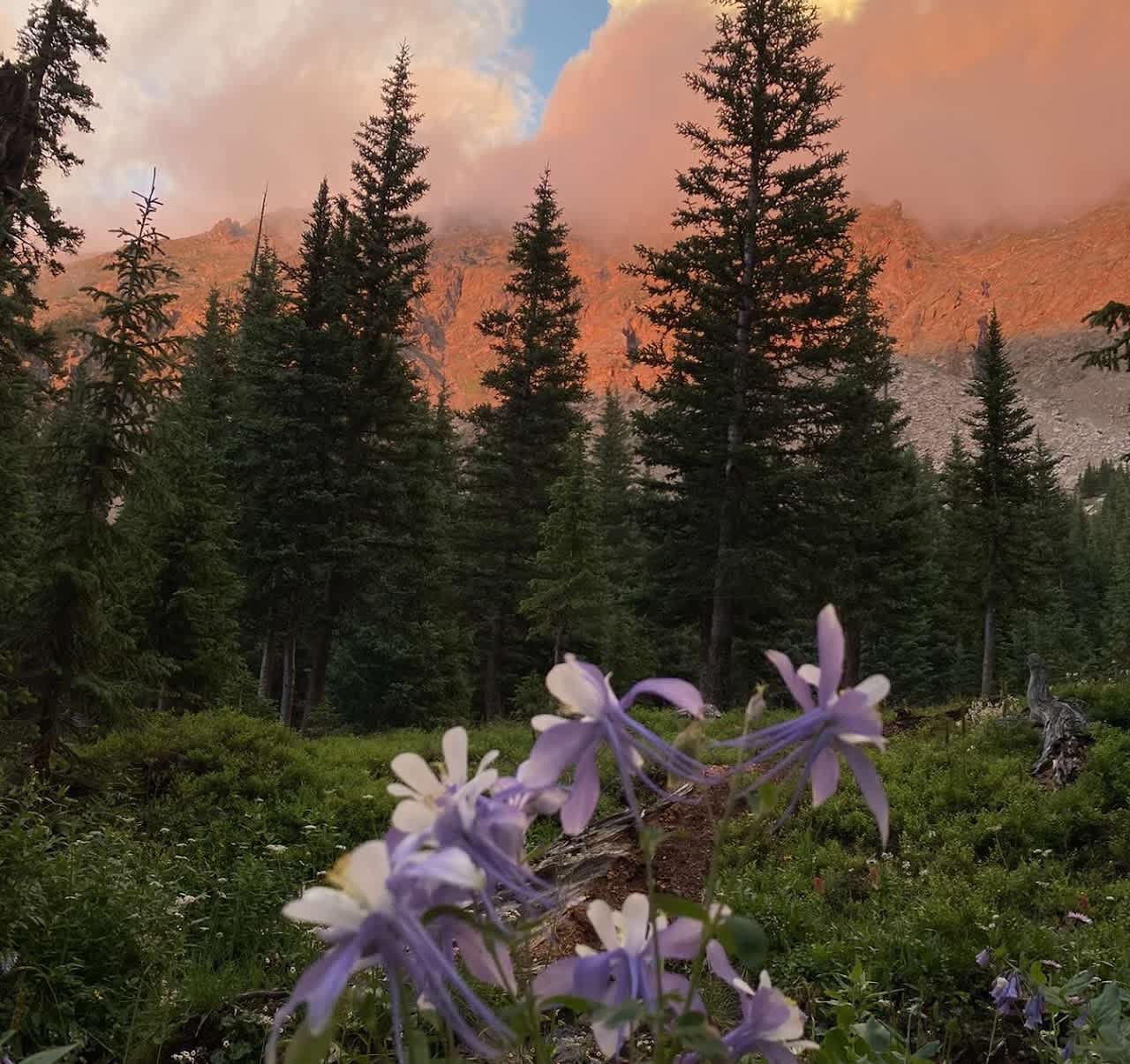The Shabin - Hipcamp in St Mary's, Colorado