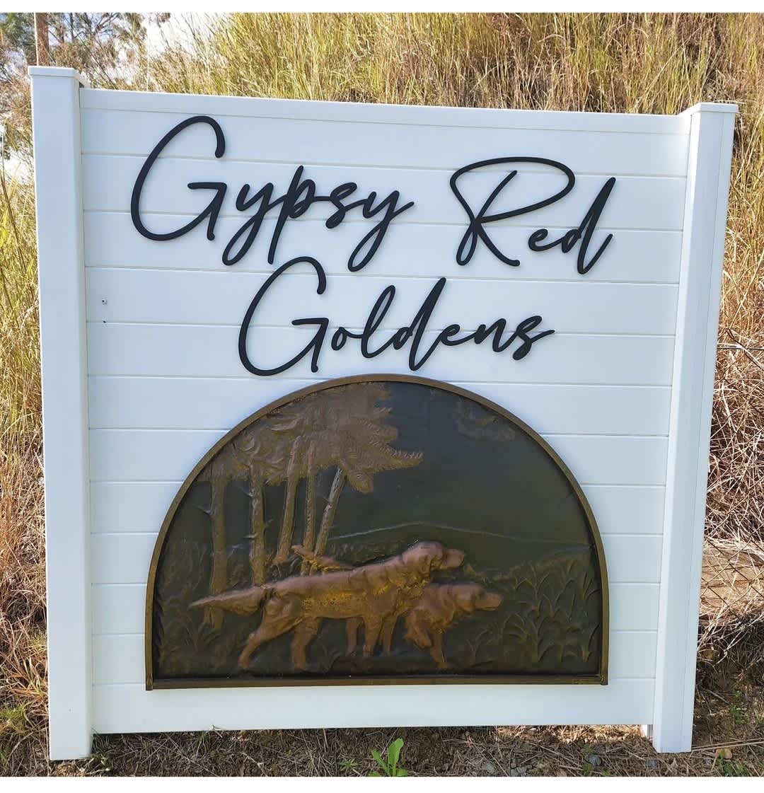 Gypsy Cabin - Hipcamp in Ocean View, Queensland