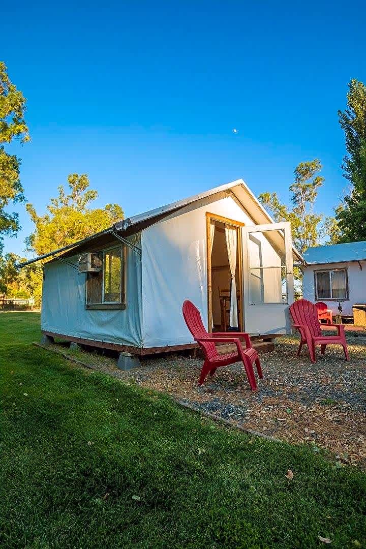 Vineyard RV Park - Hipcamp in Vacaville, California