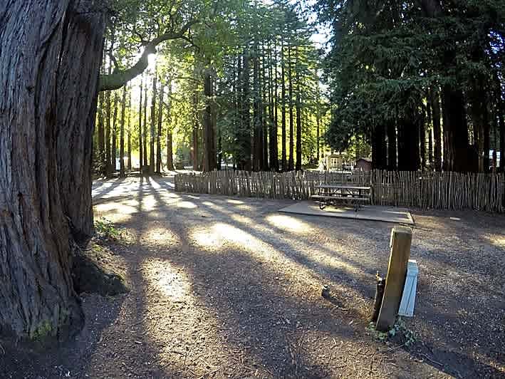 Smithwoods RV Park - Hipcamp in Felton, California